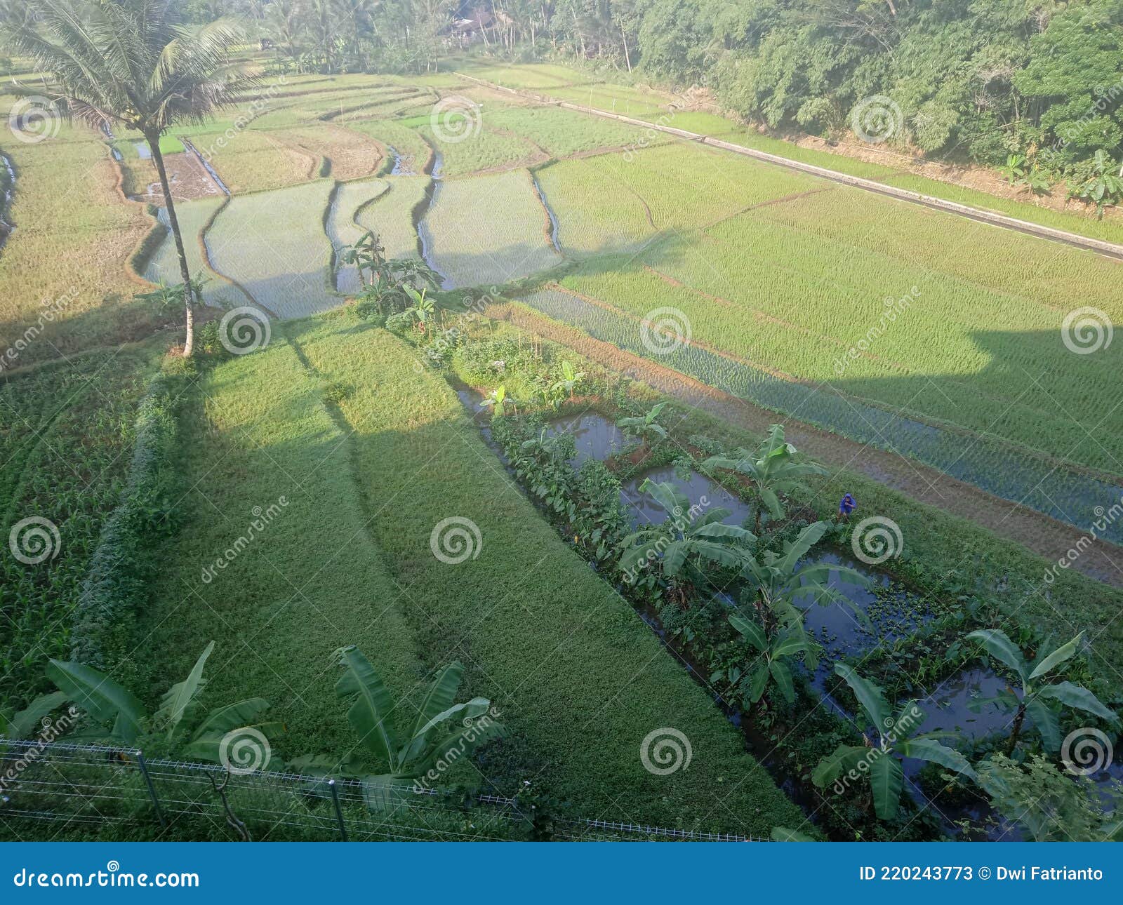 Landscape of Farm Land with Beautiful Object Stock Image - Image of ...