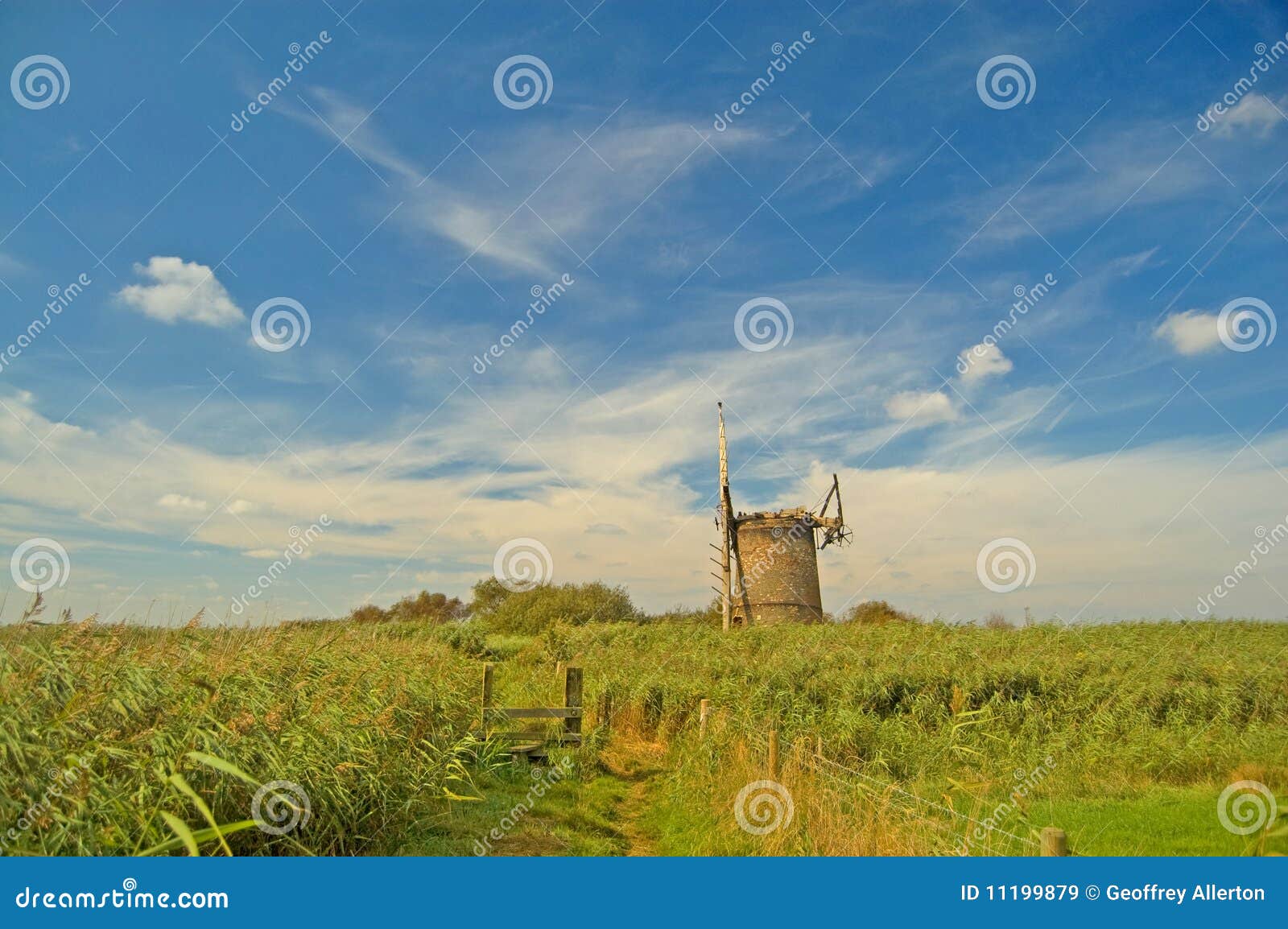 Landscape of the fens stock image. Image of fens, grass - 11199879
