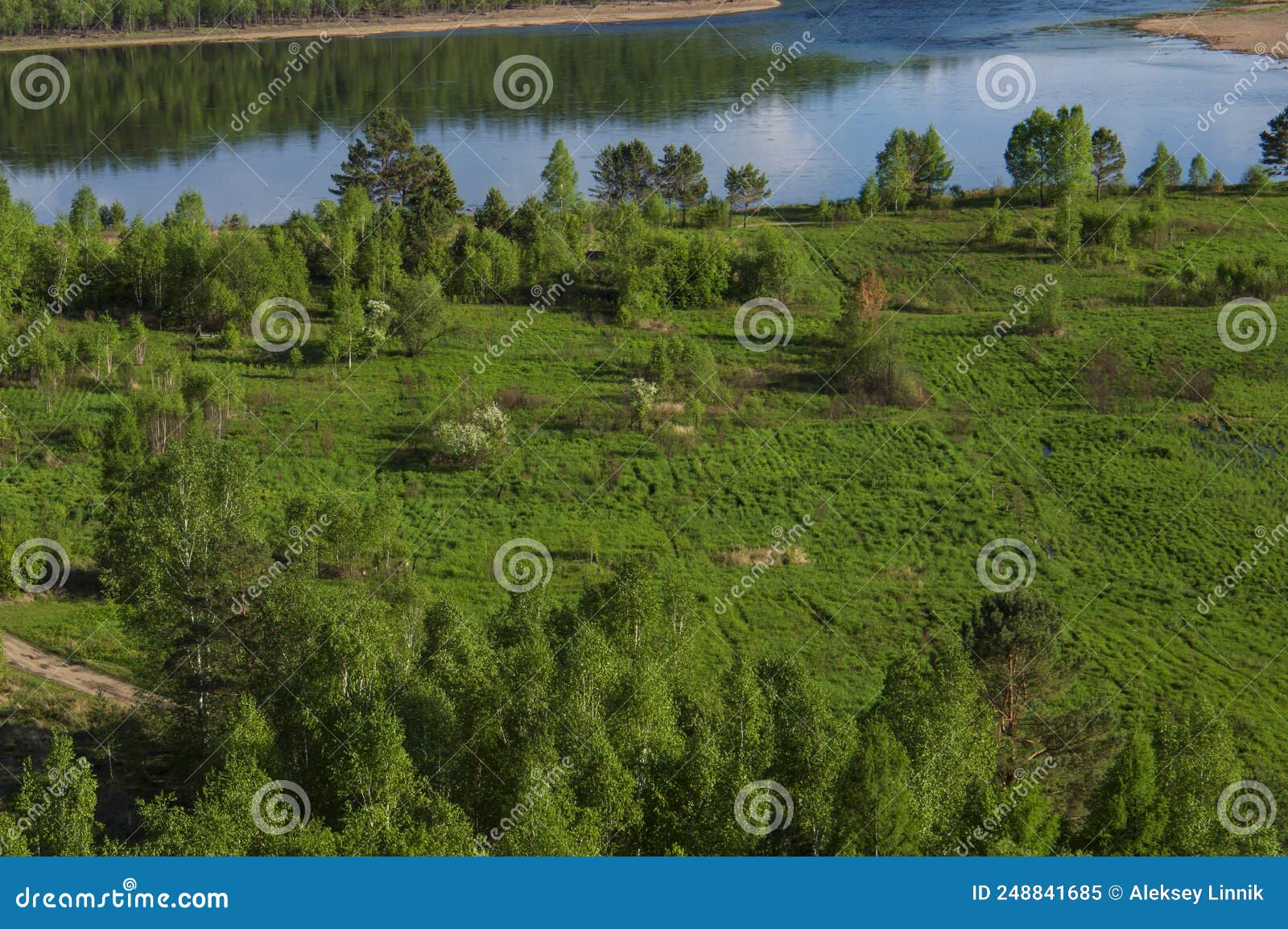 Landscape of a Field with a River and a Forest Stock Image - Image of ...