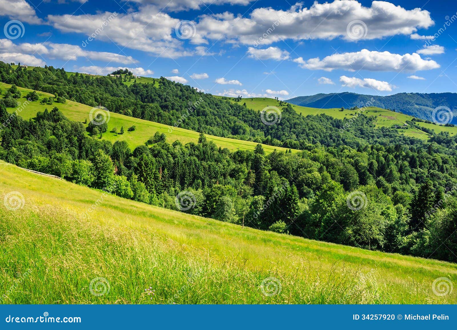 Landscape with Fields and Forest on Hillside Stock Photo - Image of ...