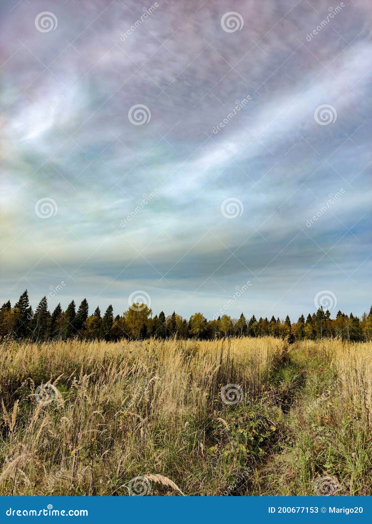 Landscape of Fields and Forests in the Distance during the Autumn ...
