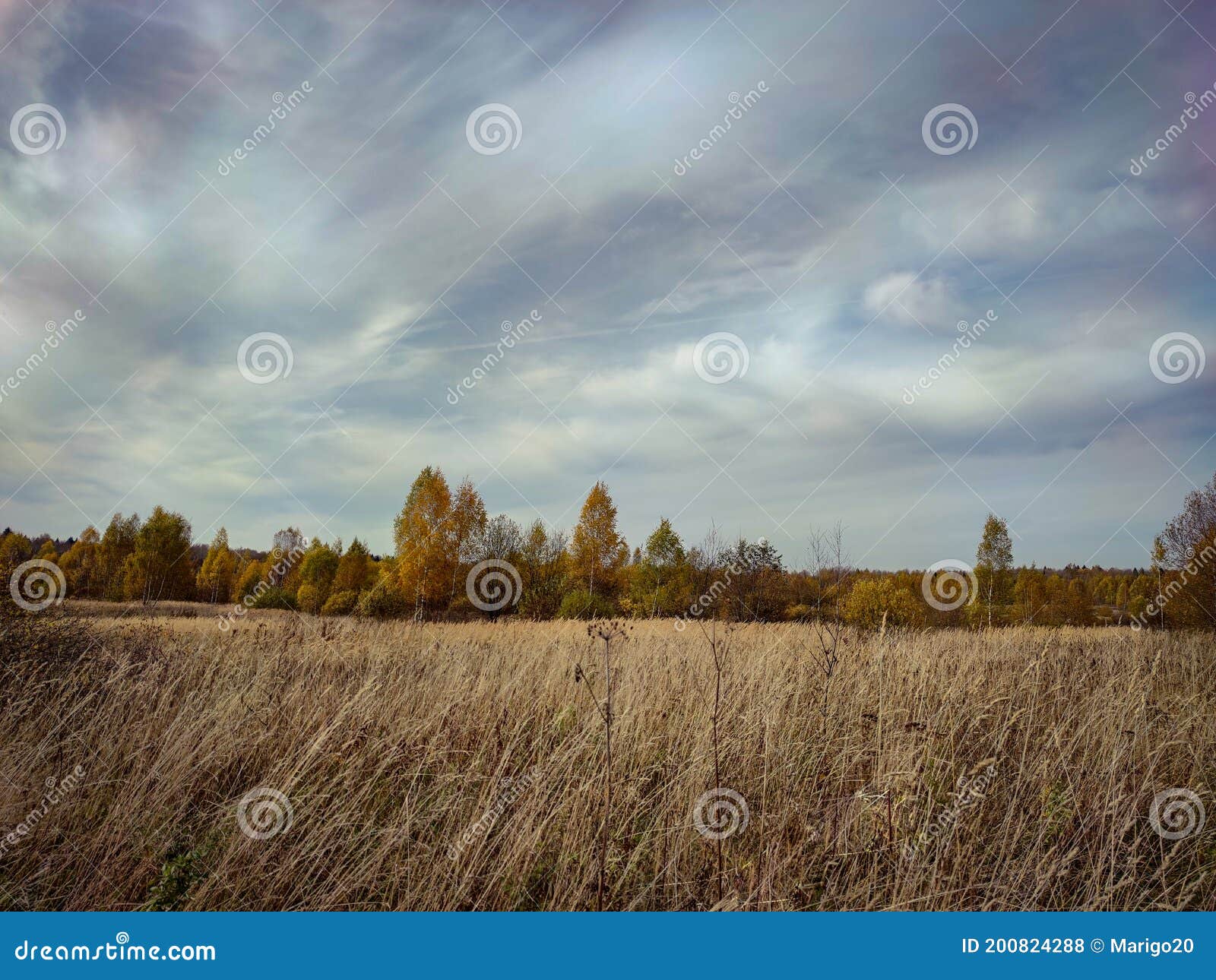 Landscape of Fields and Forests in the Distance during the Autumn ...