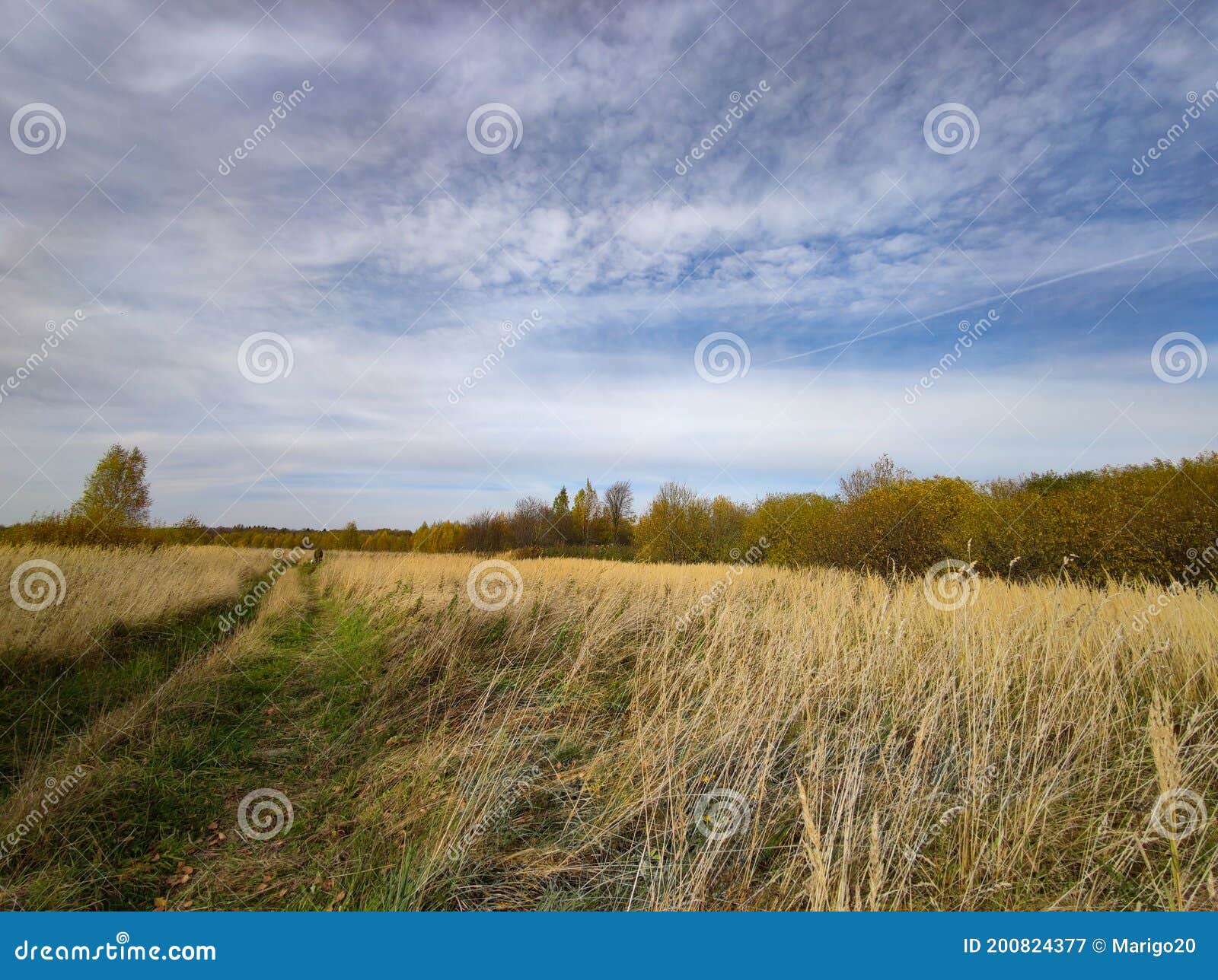 Landscape of Fields and Forests in the Distance during the Autumn ...