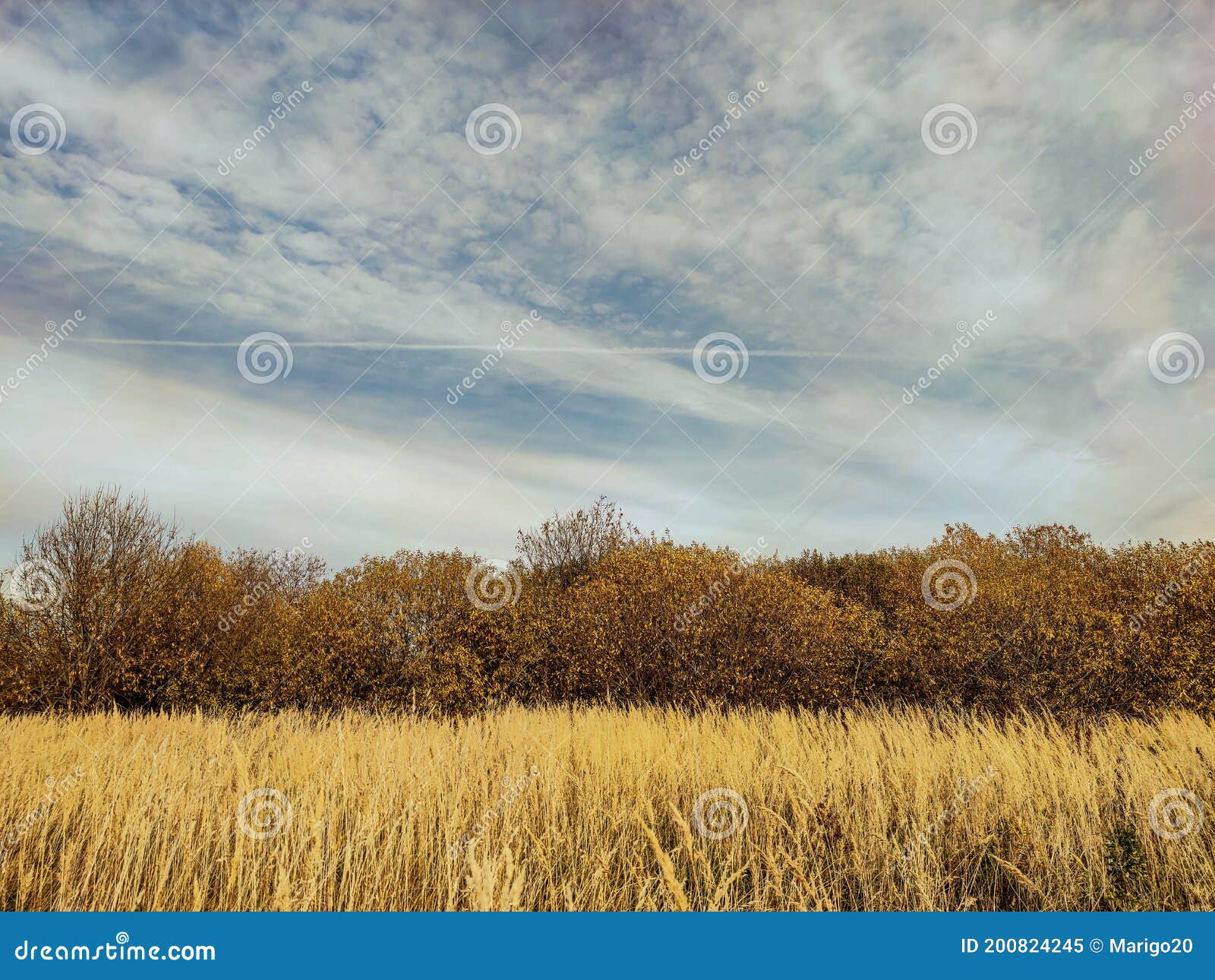 Landscape of Fields and Forests in the Distance during the Autumn ...