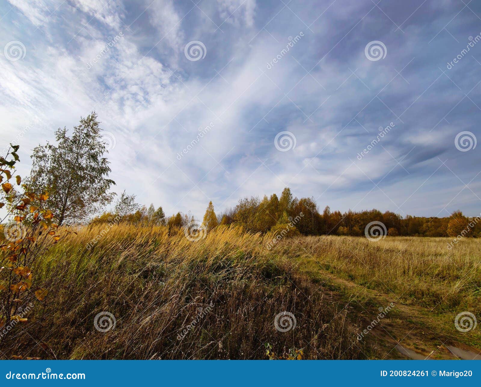 Landscape of Fields and Forests in the Distance during the Autumn ...