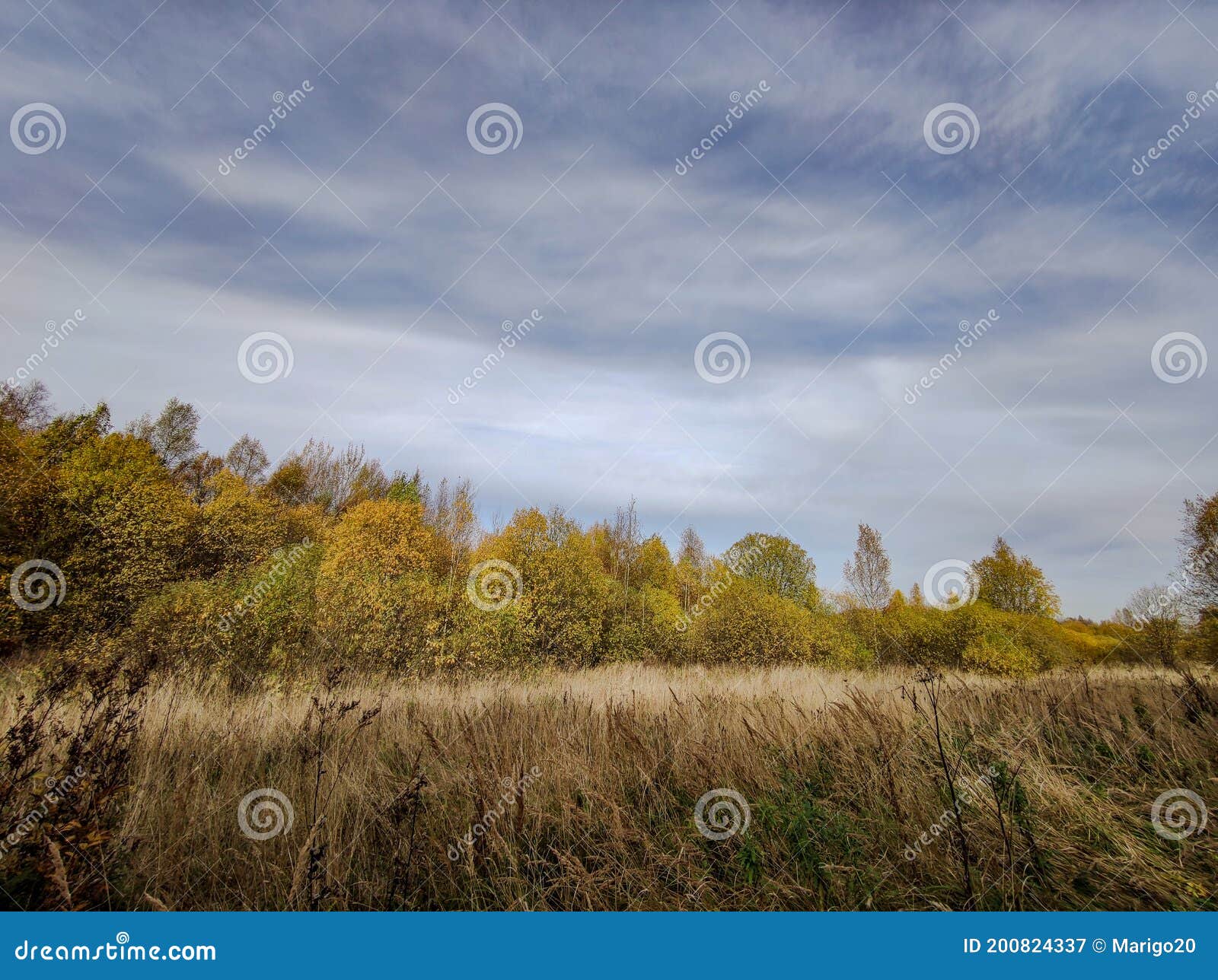 Landscape of Fields and Forests in the Distance during the Autumn ...