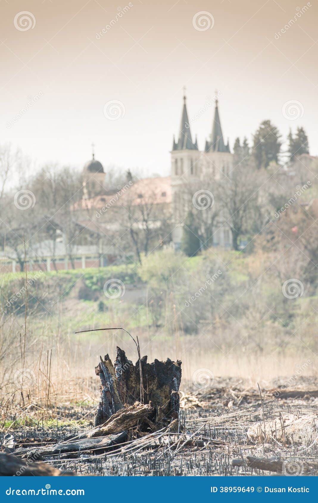 Landscape after fire stock image. Image of burnt, inferno - 38959649