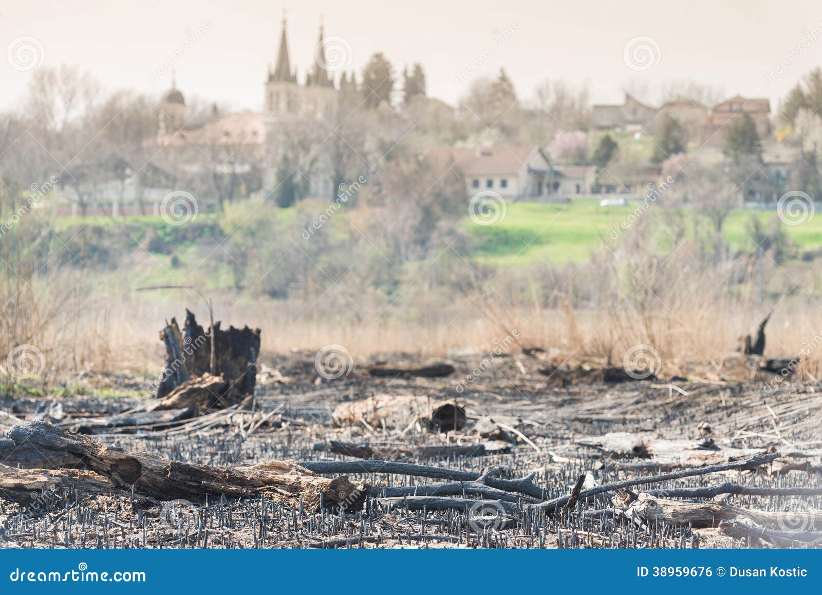 Landscape after fire stock photo. Image of ecology, heat - 38959676