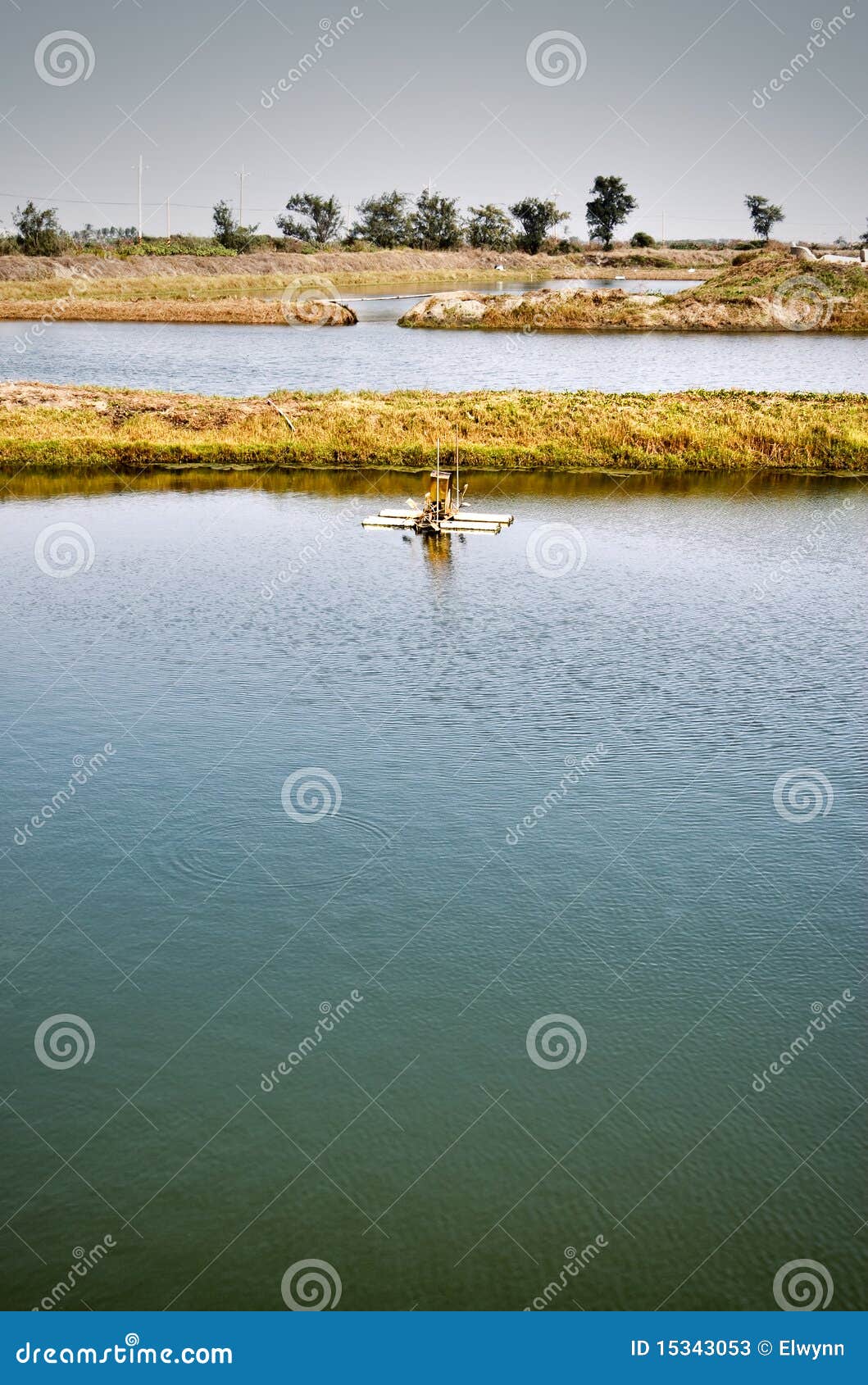 Landscape of fish pond stock image. Image of dramatic - 15343053