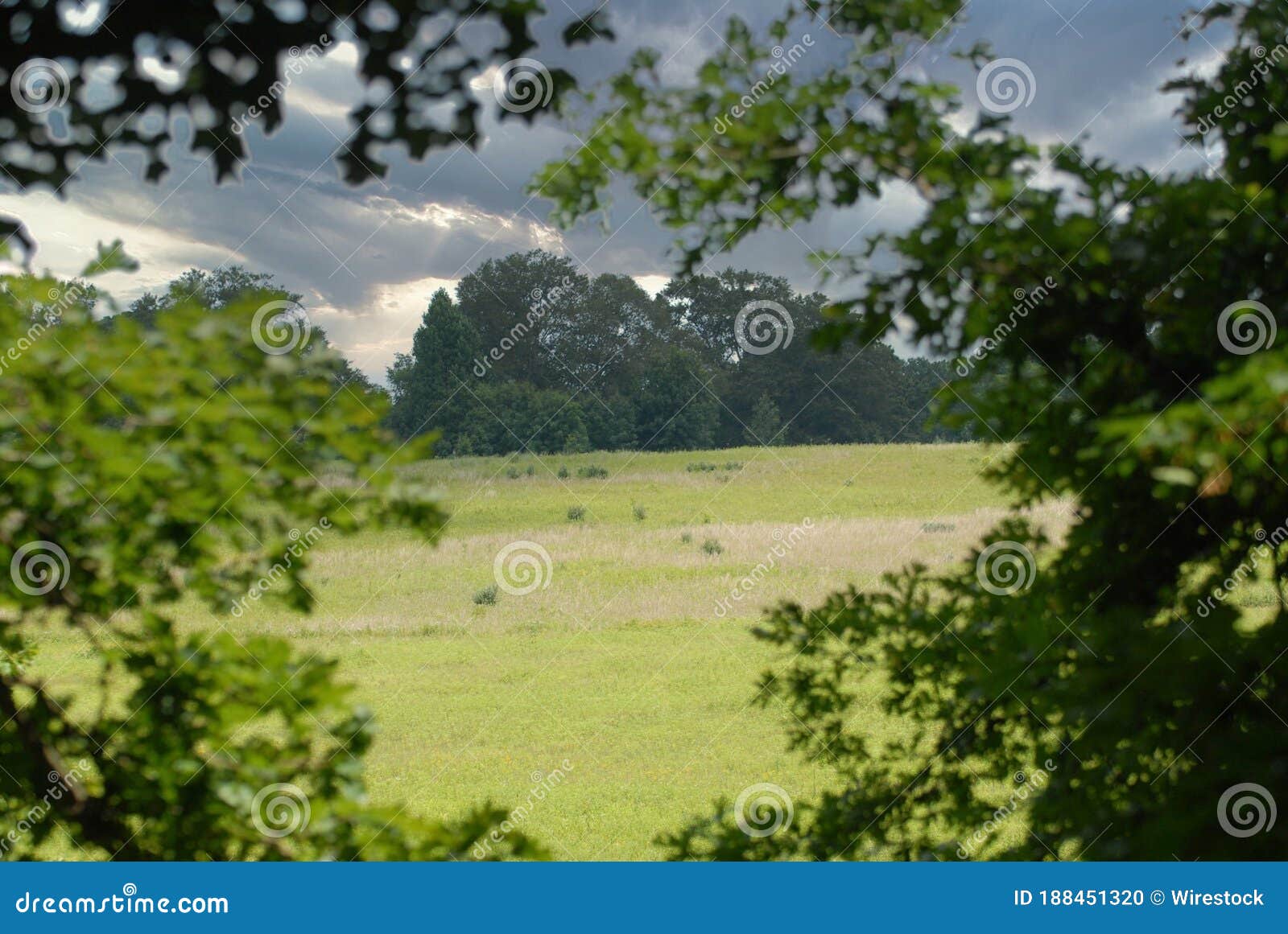 Landscape of Flat Grassy Area and Some Trees Around - Perfect for ...
