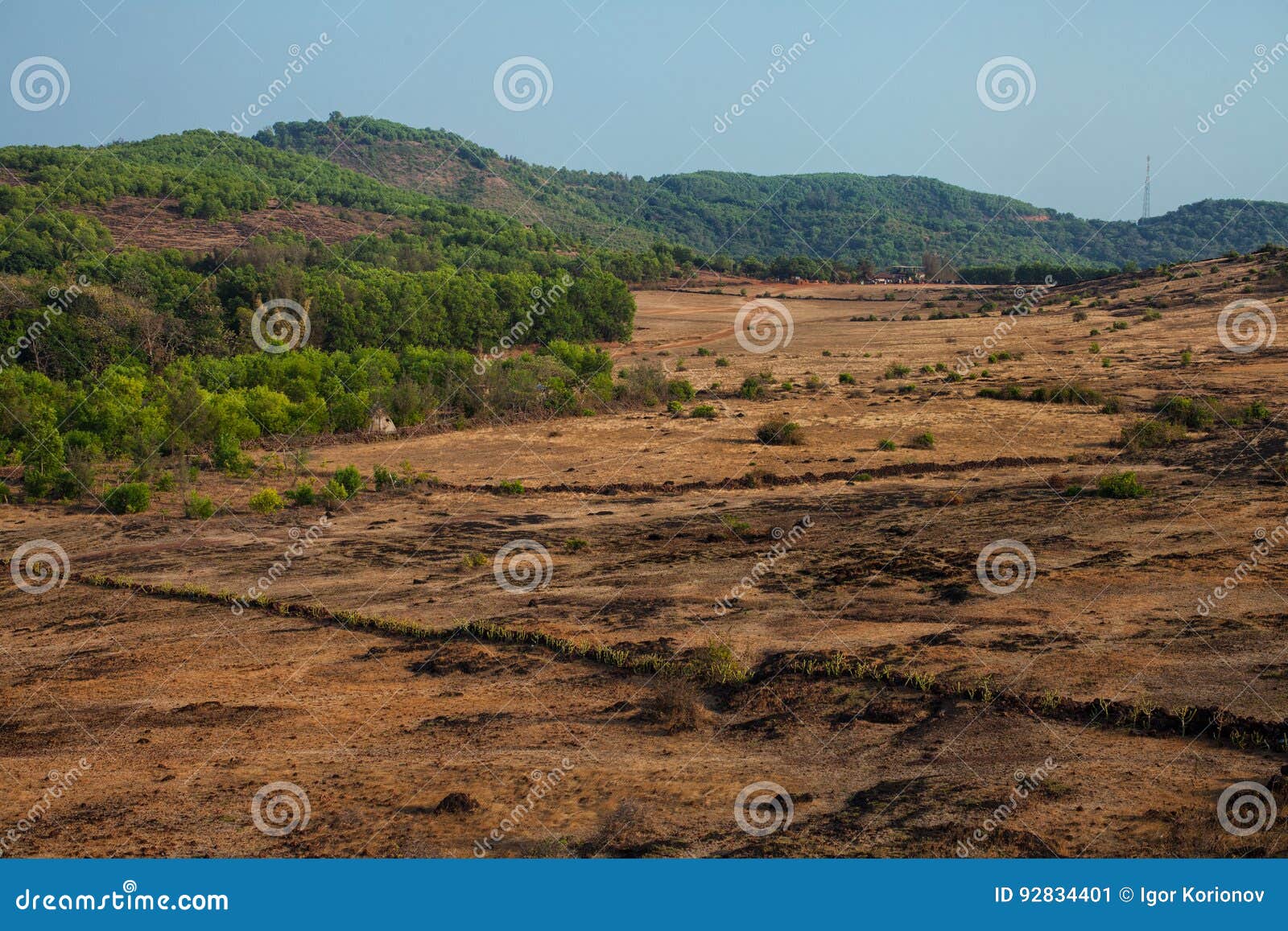 Landscape with Flat Terrain and Hills Covered with Forests Stock Image ...