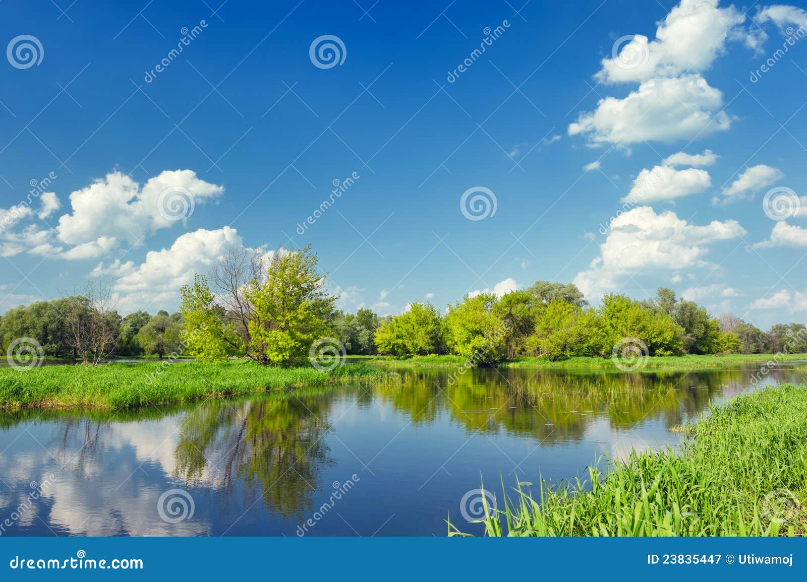 Landscape with Flood Waters of Narew River. Stock Image - Image of ...