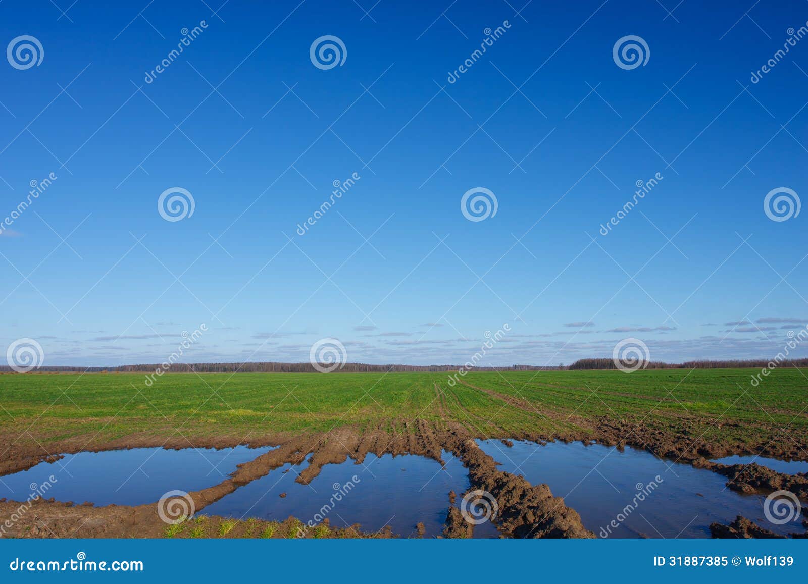 Landscape with a Flooded Fields Stock Image - Image of green, soil ...