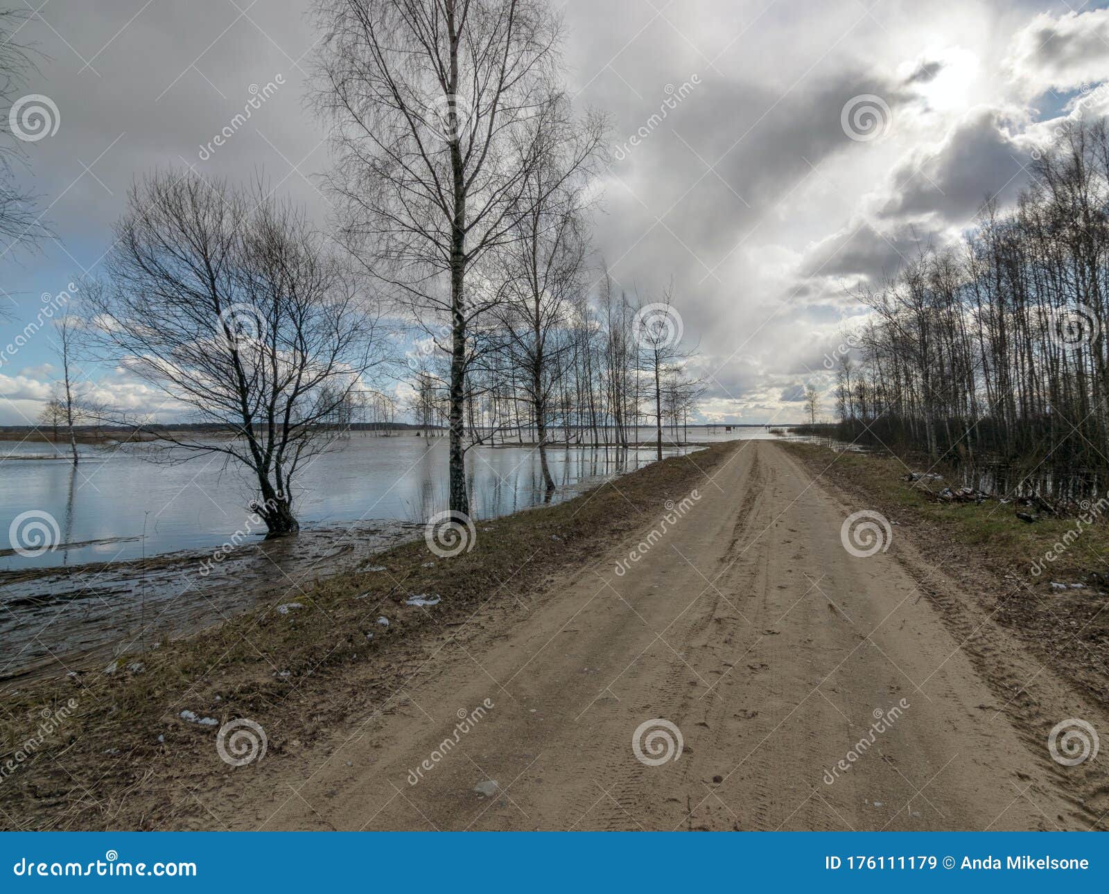 Landscape with a Flooded Lake in Spring Stock Image - Image of nature ...