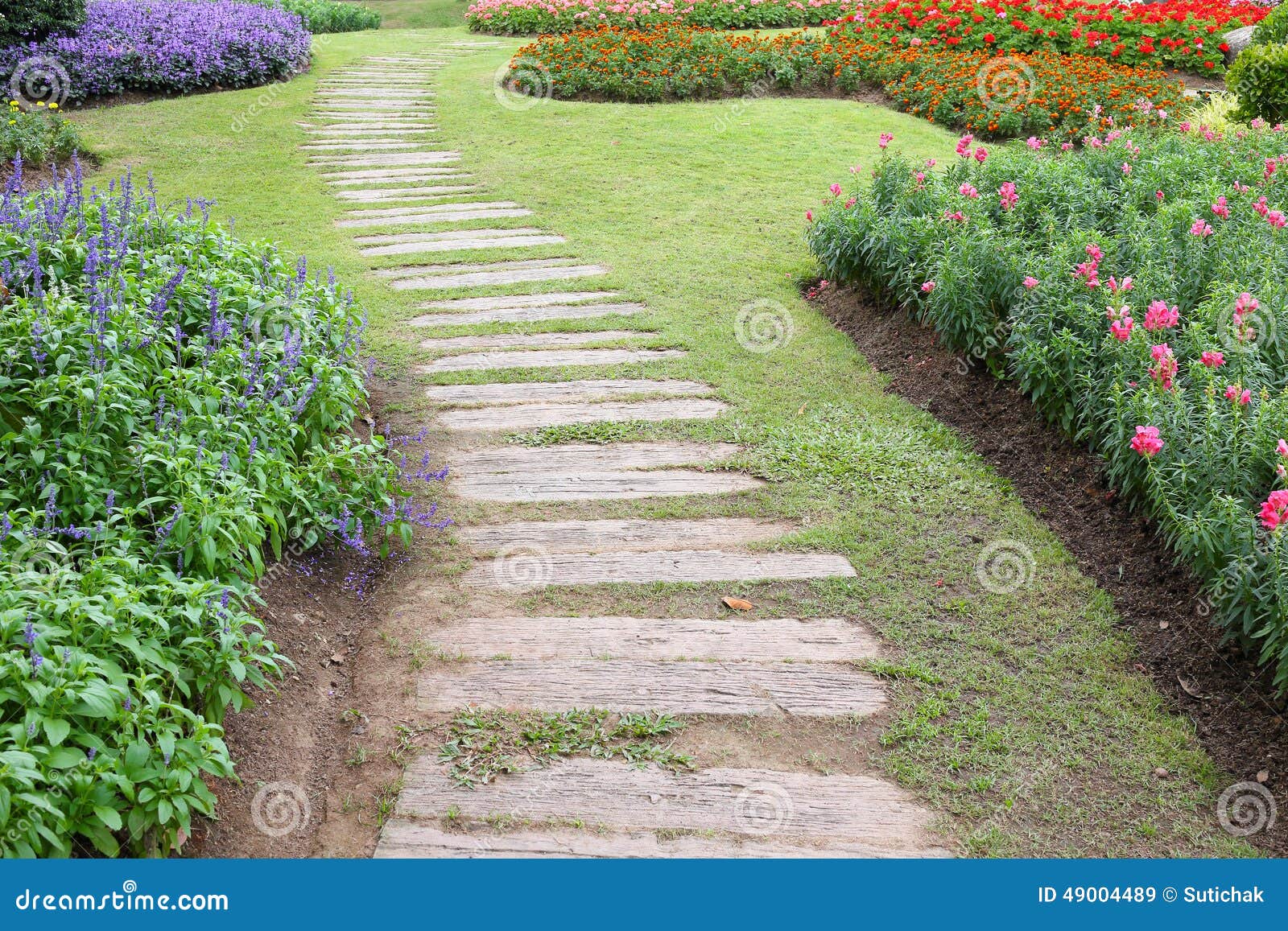 Landscape of Floral Gardening with Pathway Stock Image - Image of ...