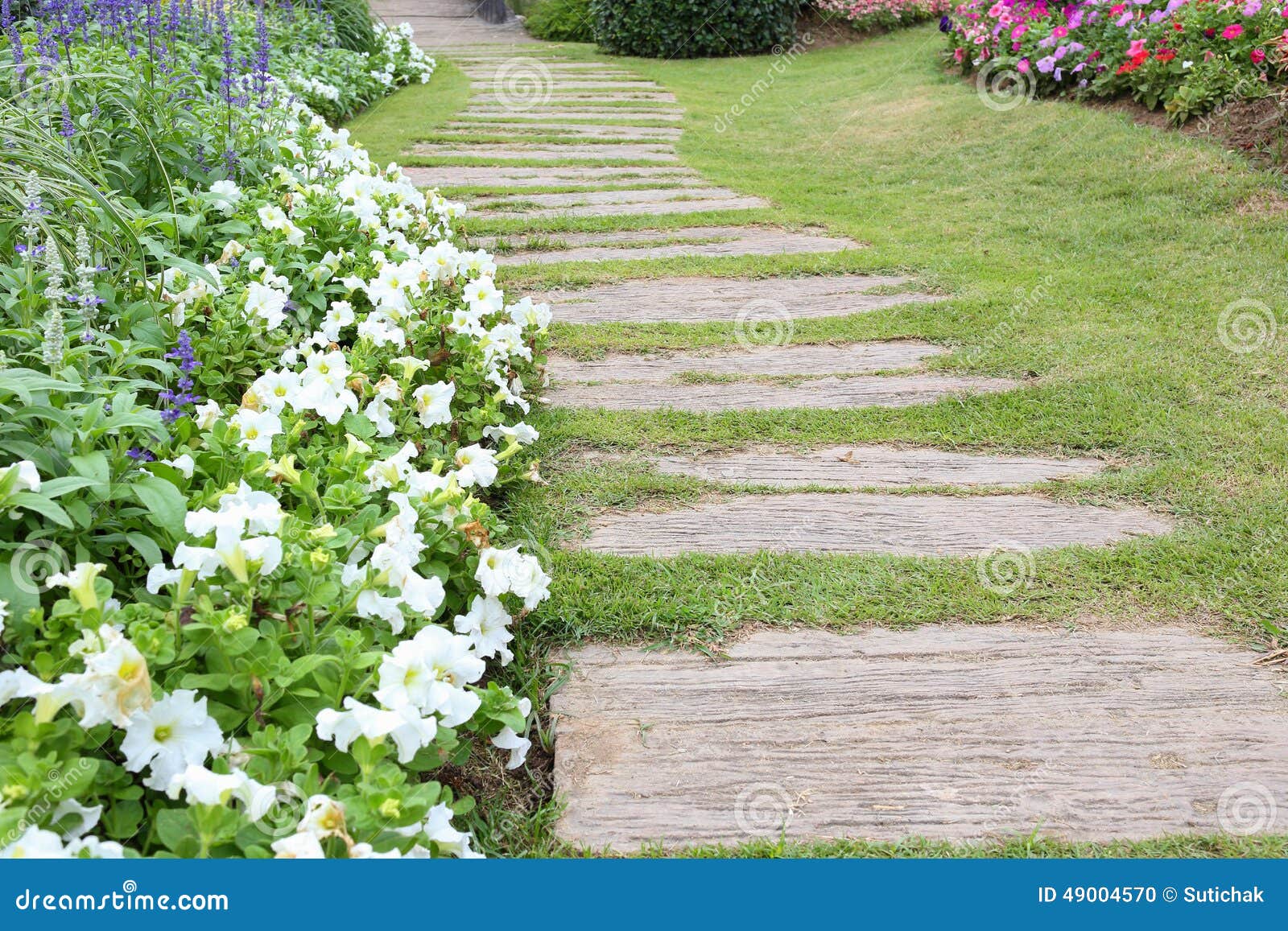 Landscape of Floral Gardening with Pathway Stock Photo - Image of ...