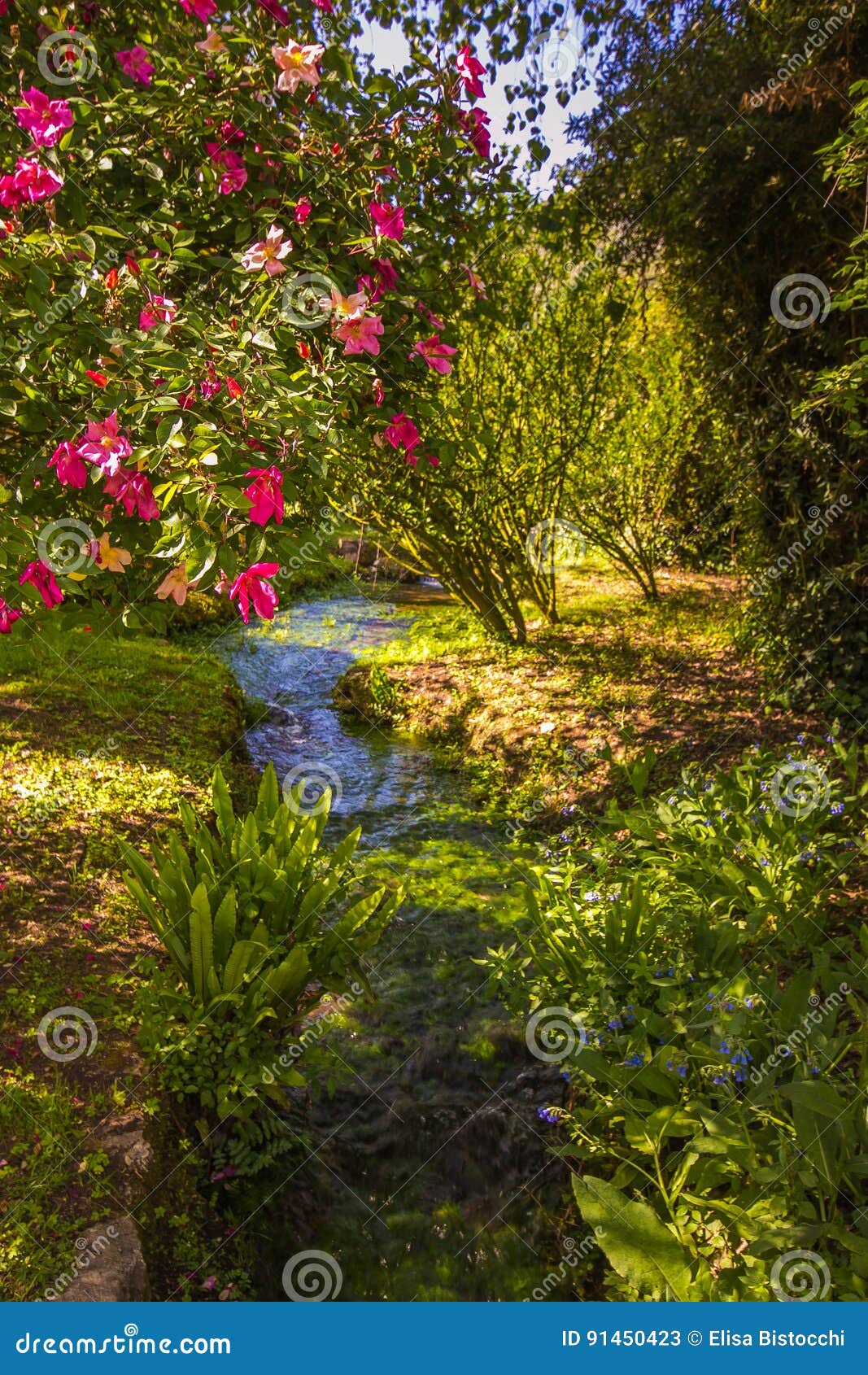 Landscape with Flowers and River in the Spring Stock Image - Image of ...