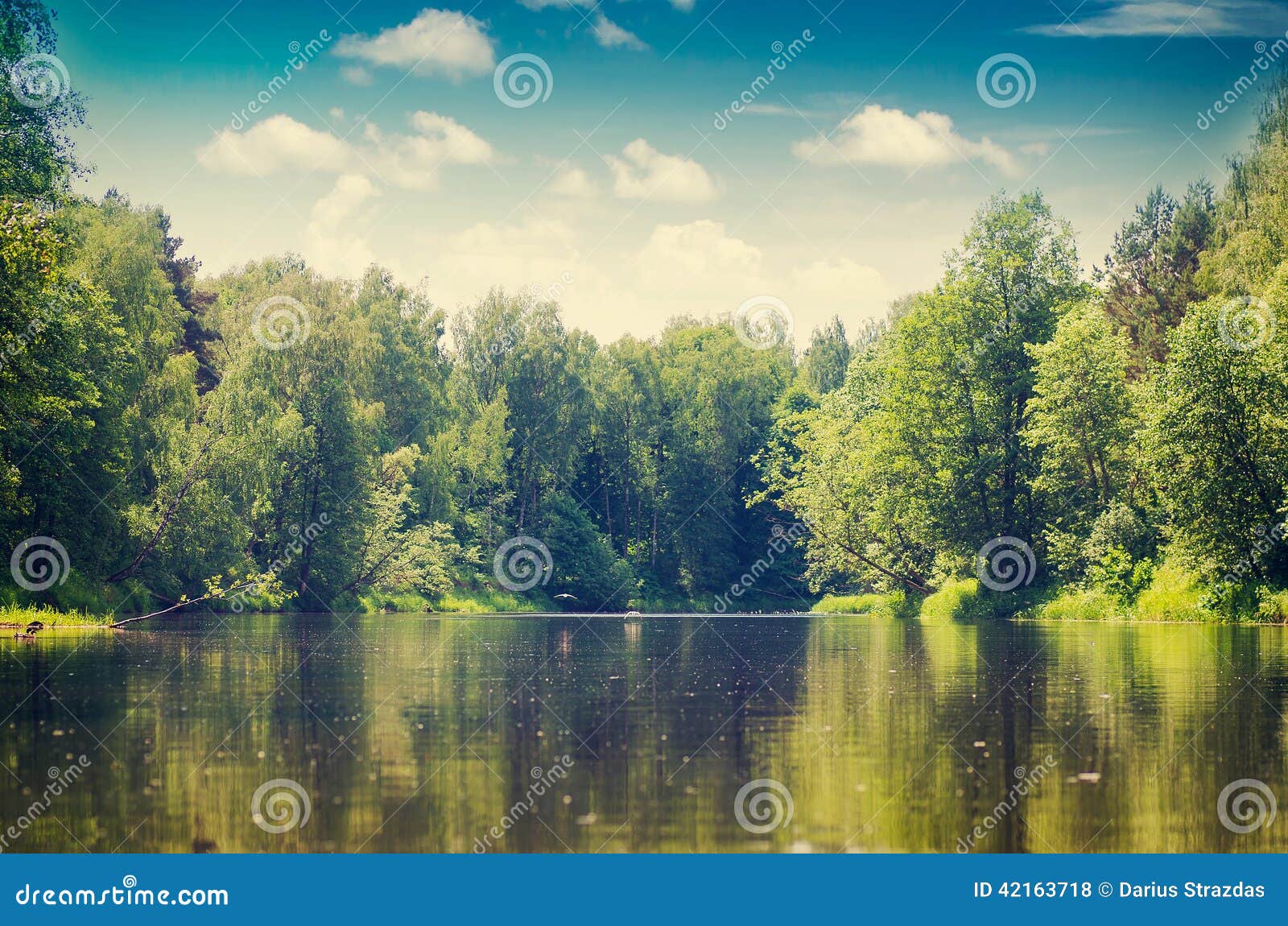 Landscape of flowing river stock photo. Image of natural - 42163718