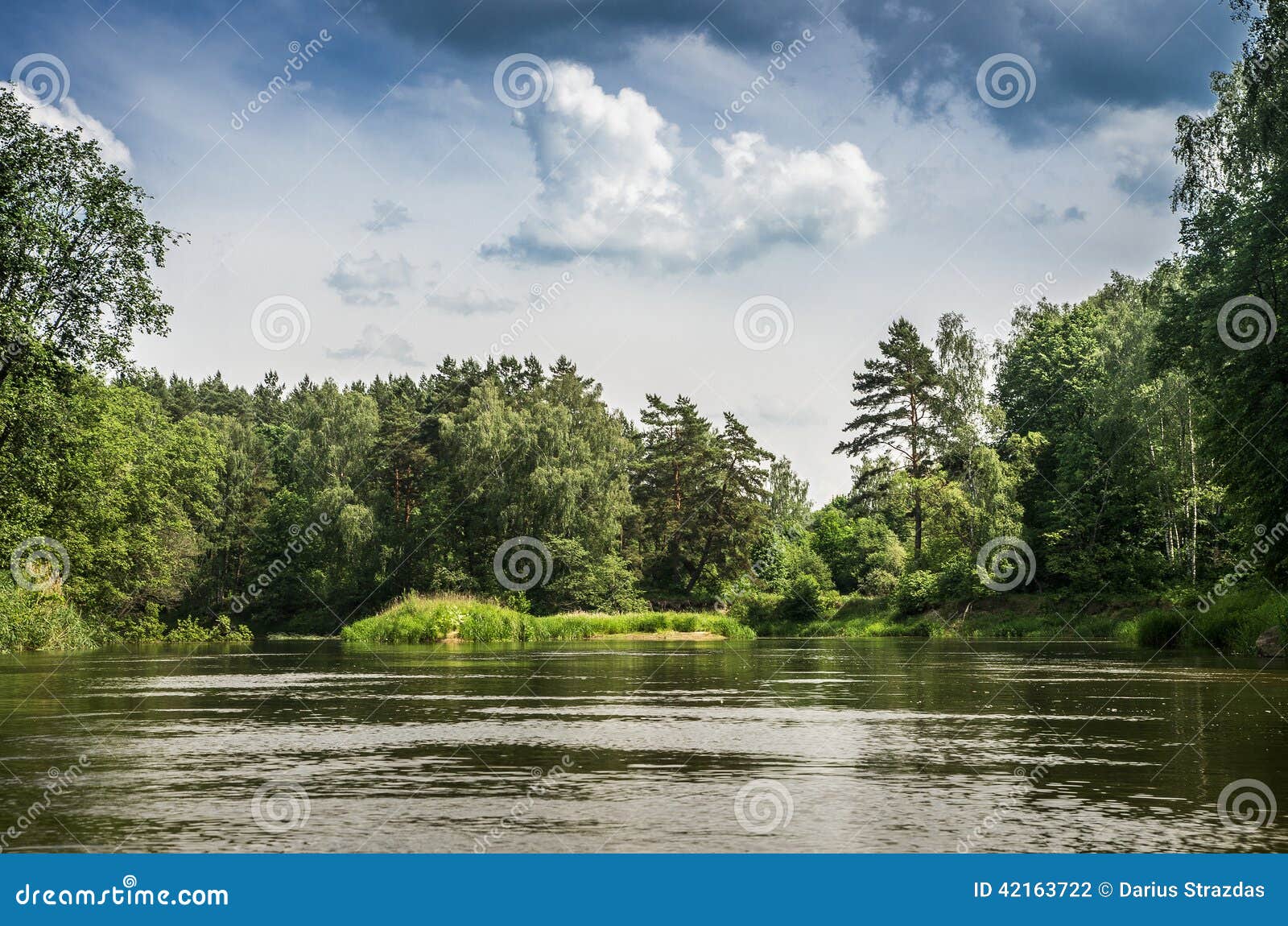 Landscape of flowing river stock photo. Image of branches - 42163722