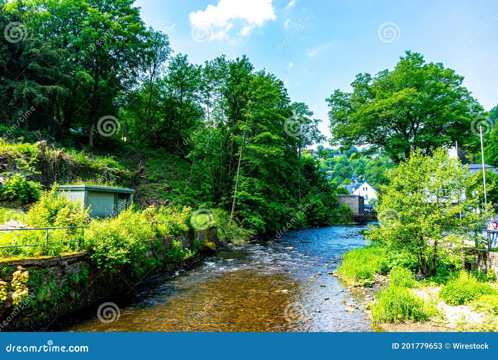 Landscape of Flowing Water in a Small Stream Surrounded by Trees with a ...