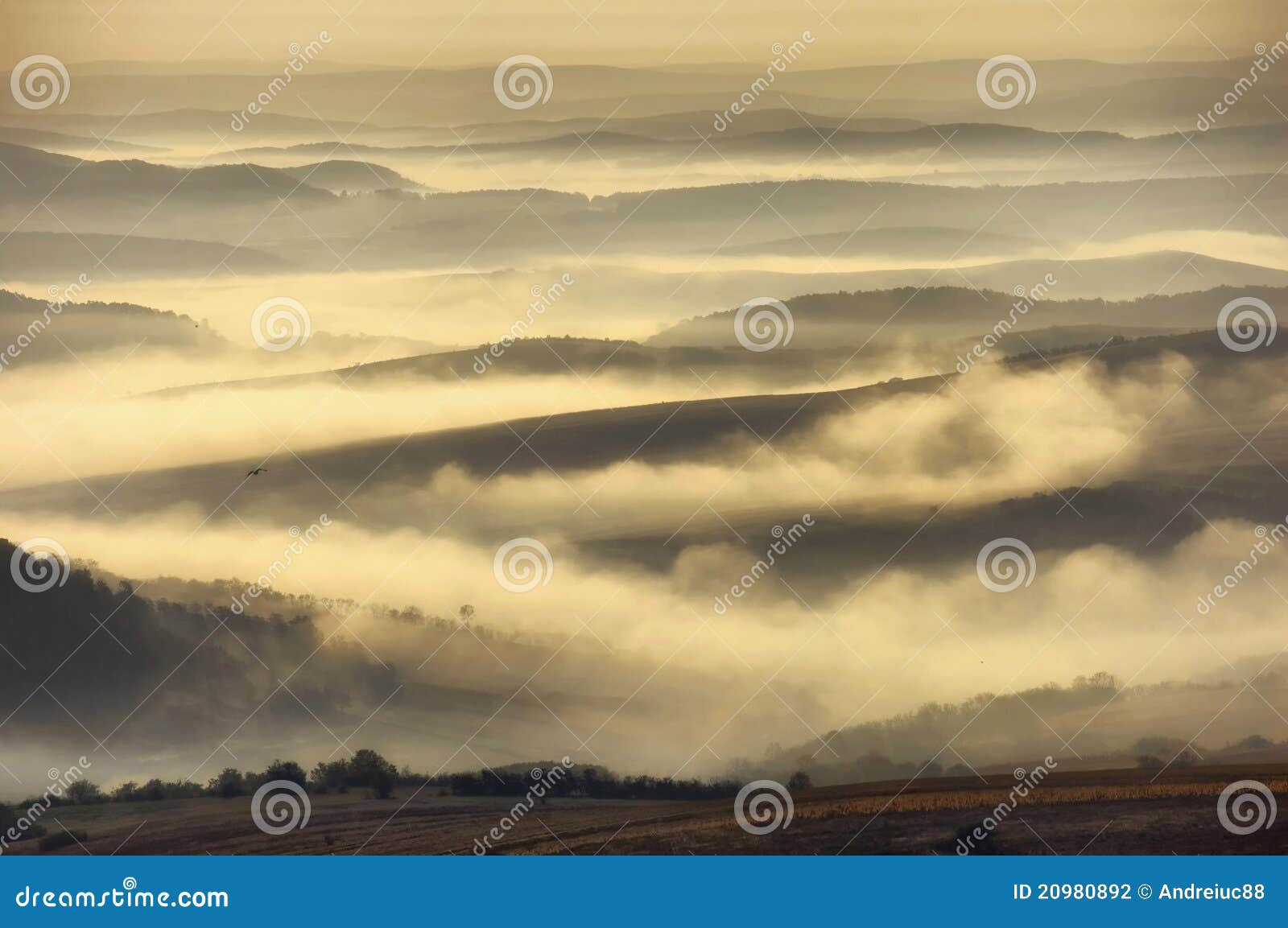 Landscape with Fog Over the Hills and a Bird Stock Photo - Image of ...