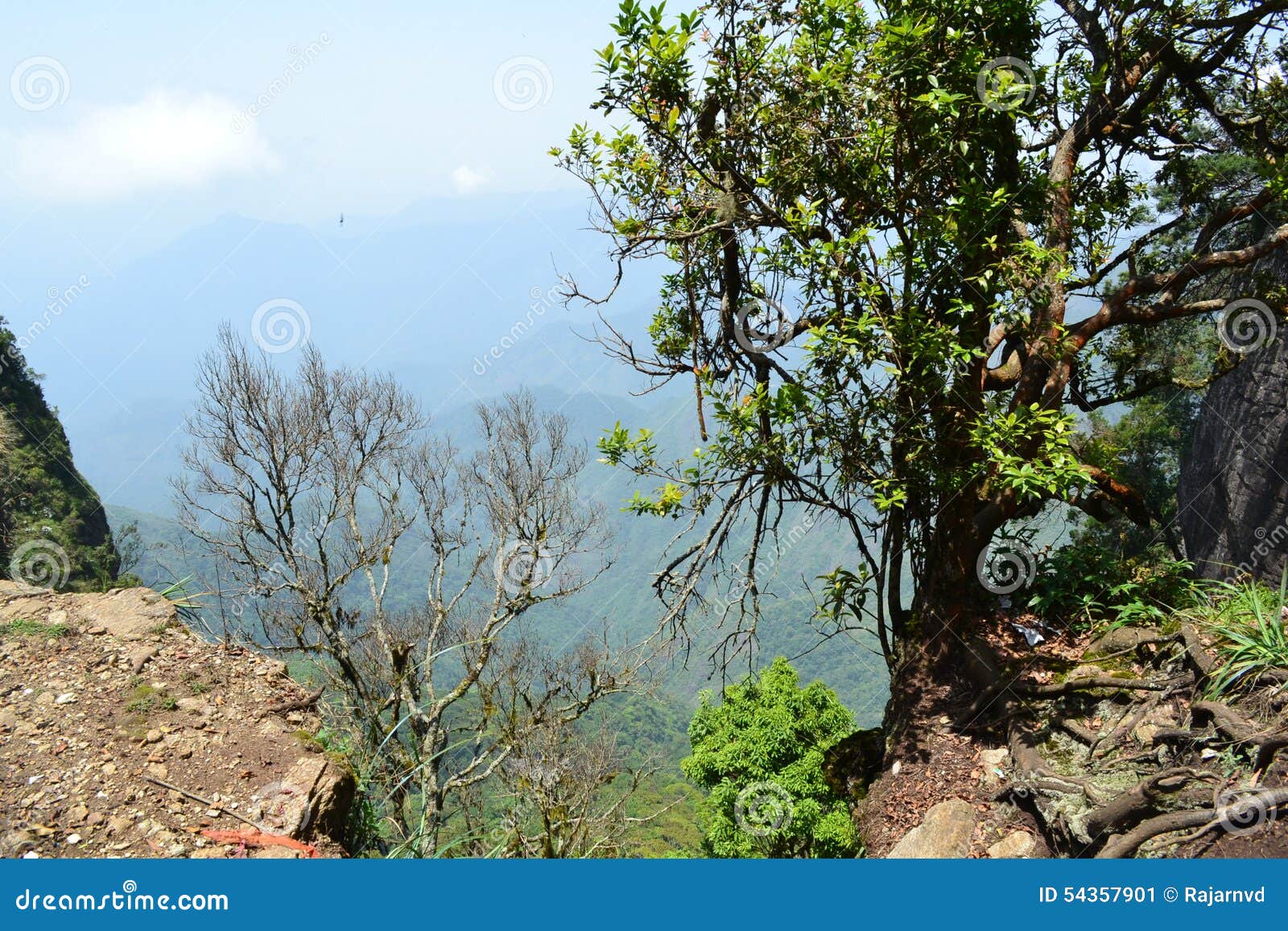 Landscape Forest Deep Mountain View Stock Image - Image of single ...
