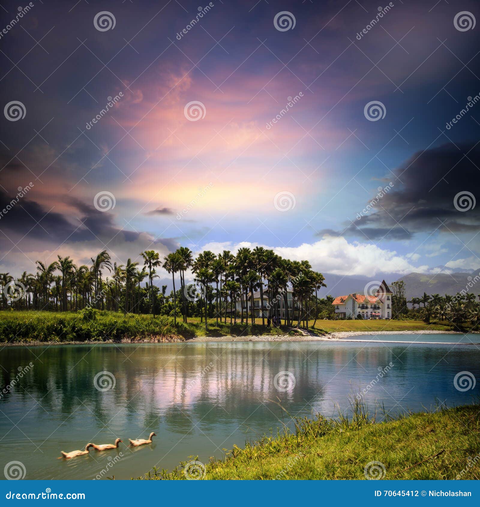 Landscape of Forest at Hualien, Taiwan, Asia Stock Photo - Image of ...