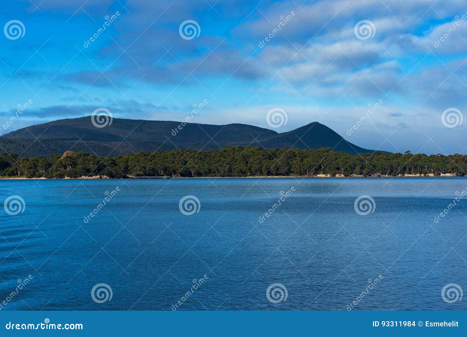 Landscape with Forest Mountains in the Distance Stock Photo - Image of ...