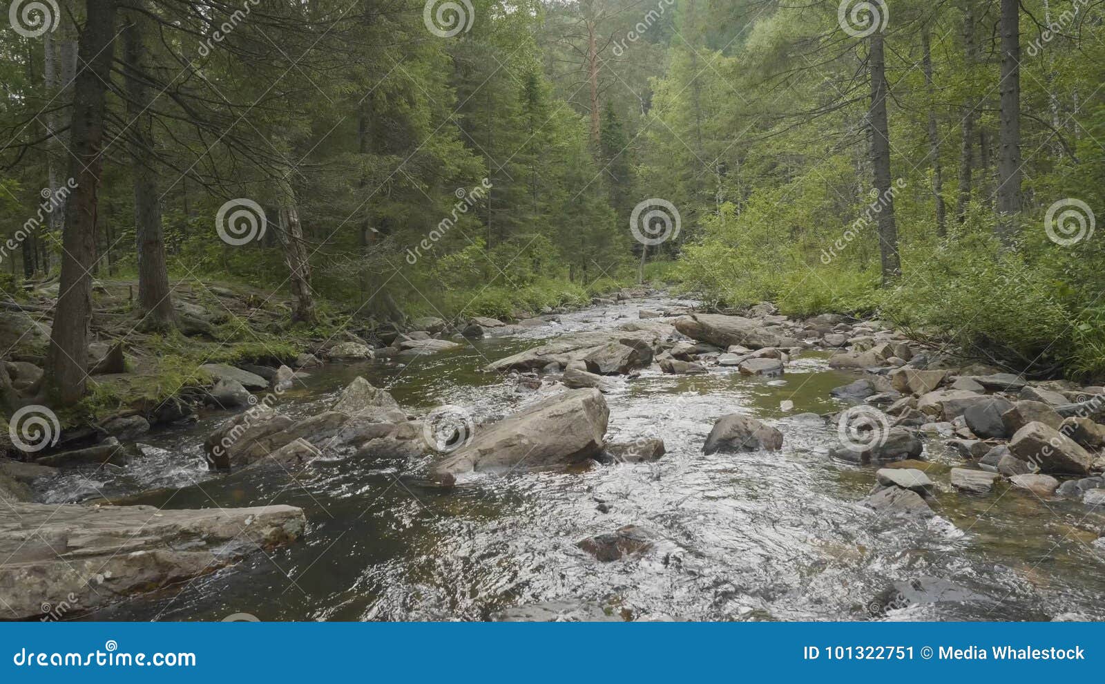 Landscape with Forest and a River in Front. Beautiful Scenery Stock ...