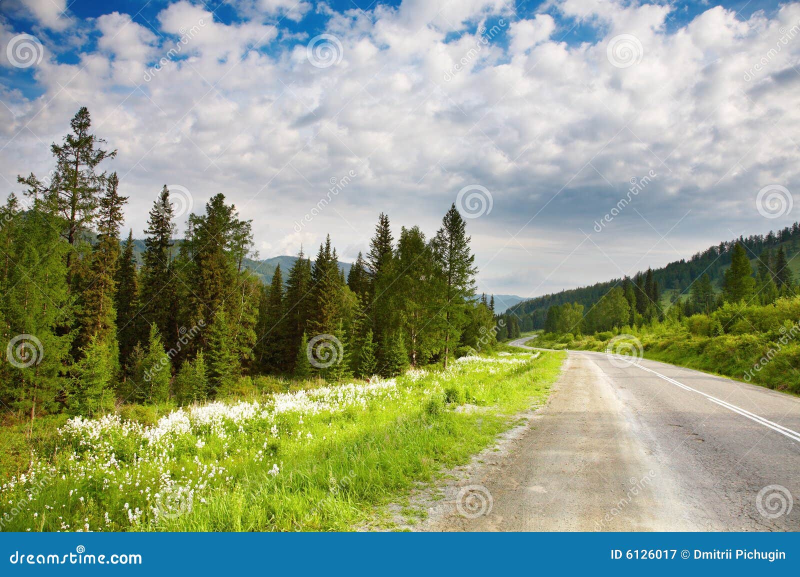 Landscape with Forest and Road Stock Image - Image of sunny, sunshine ...