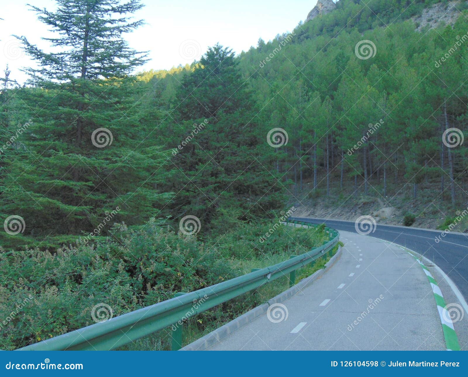 Landscape of a Forest and a Road. Stock Photo - Image of destination ...
