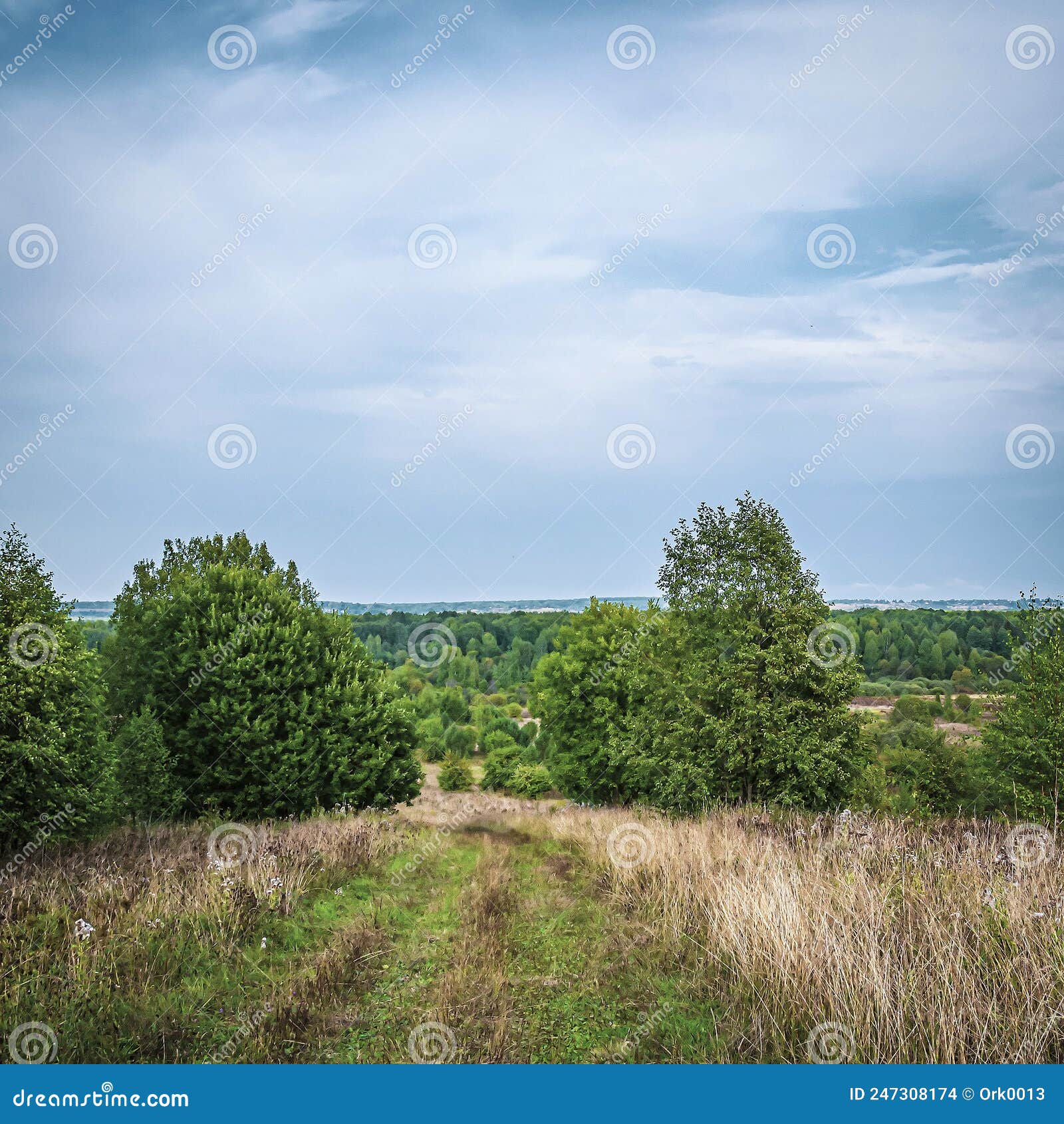 Landscape, forest road stock photo. Image of horizon - 247308174