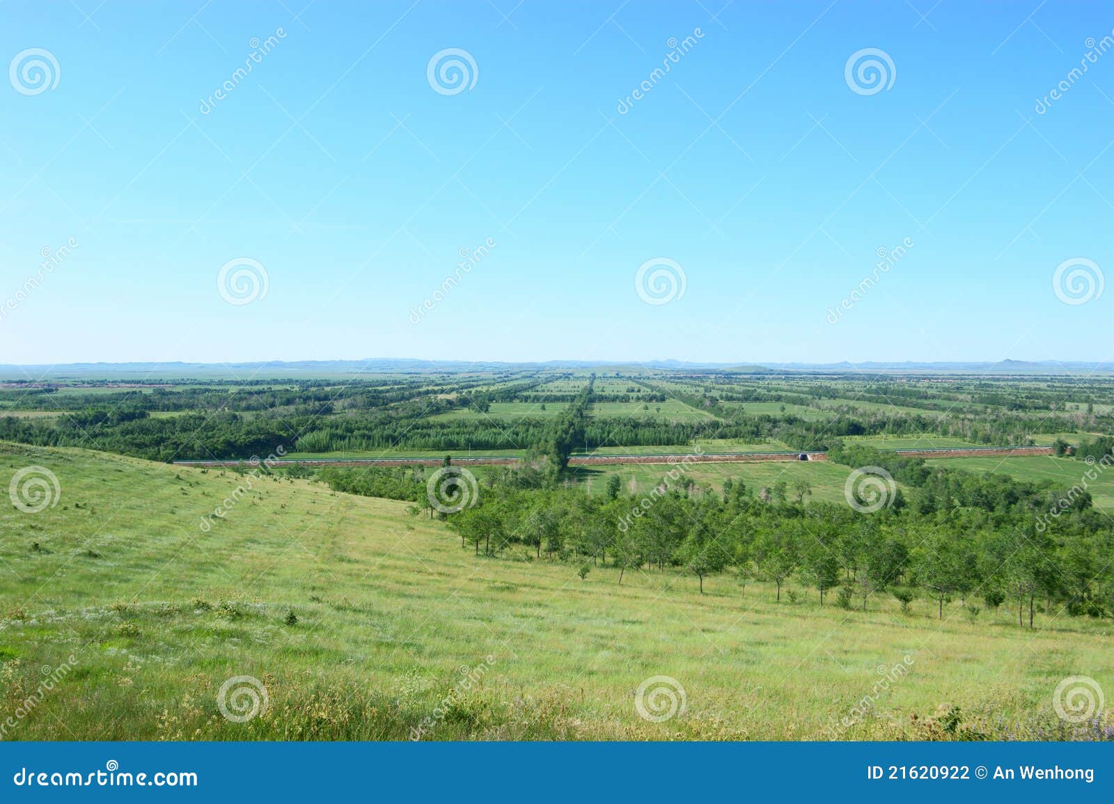 Landscape of forest-steppe stock photo. Image of grass - 21620922