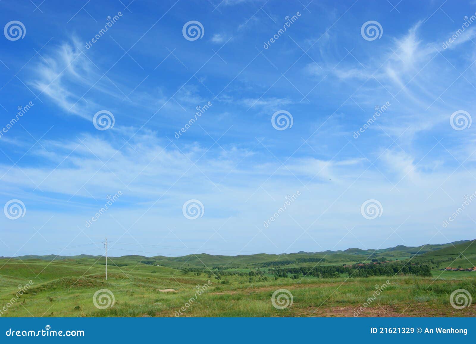 Landscape of forest-steppe stock image. Image of bright - 21621329
