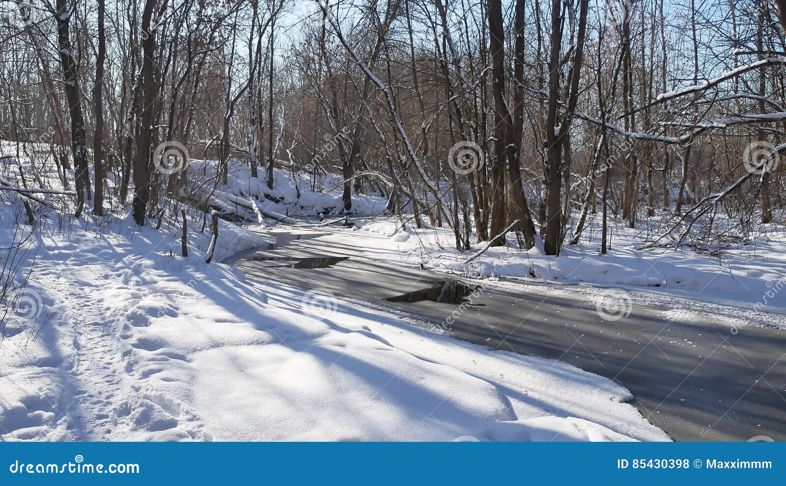 Landscape Forest Stream Flows in the Winter Forest Nature Snow Stock ...