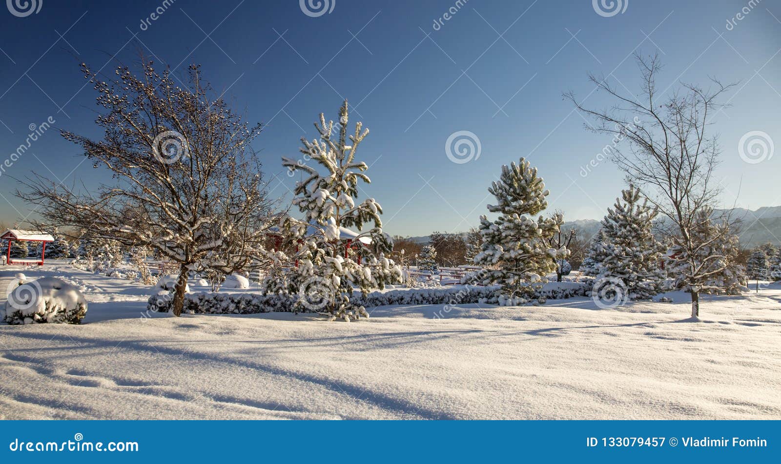 Fresh Snow in the Morning in the Park. Stock Image - Image of snow ...