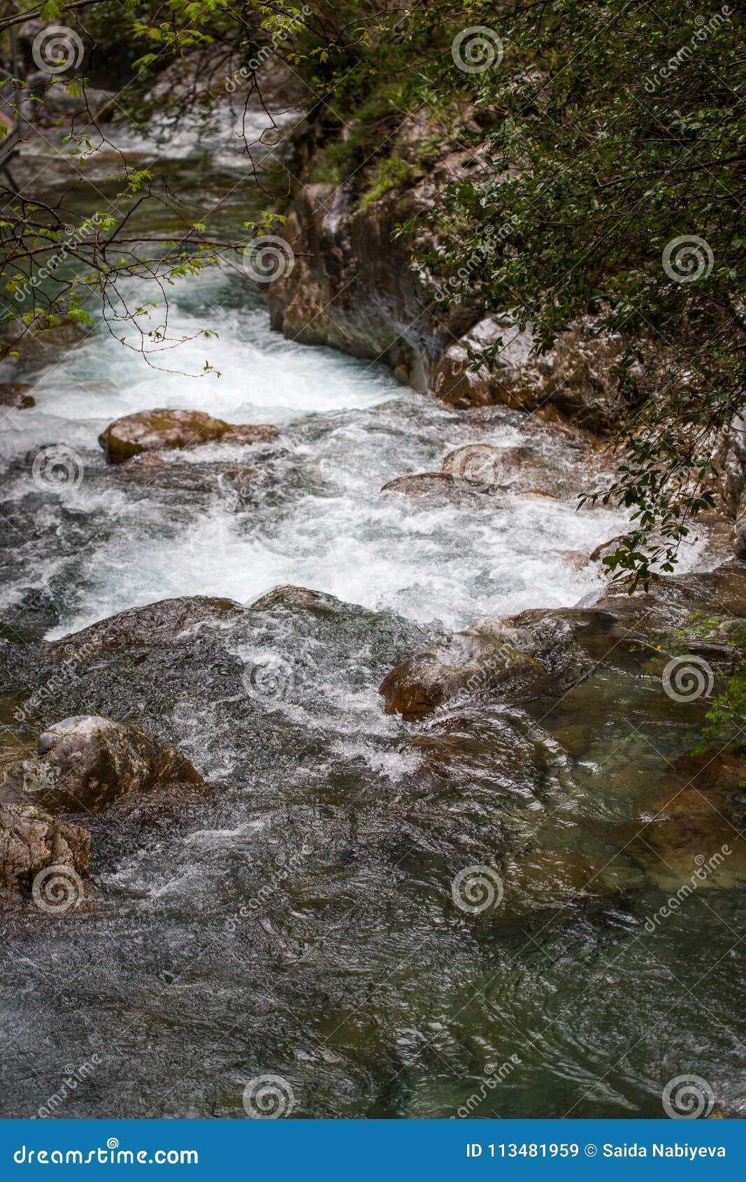 Full Flowing Mountain River. Stock Image - Image of rocks, fall: 113481959