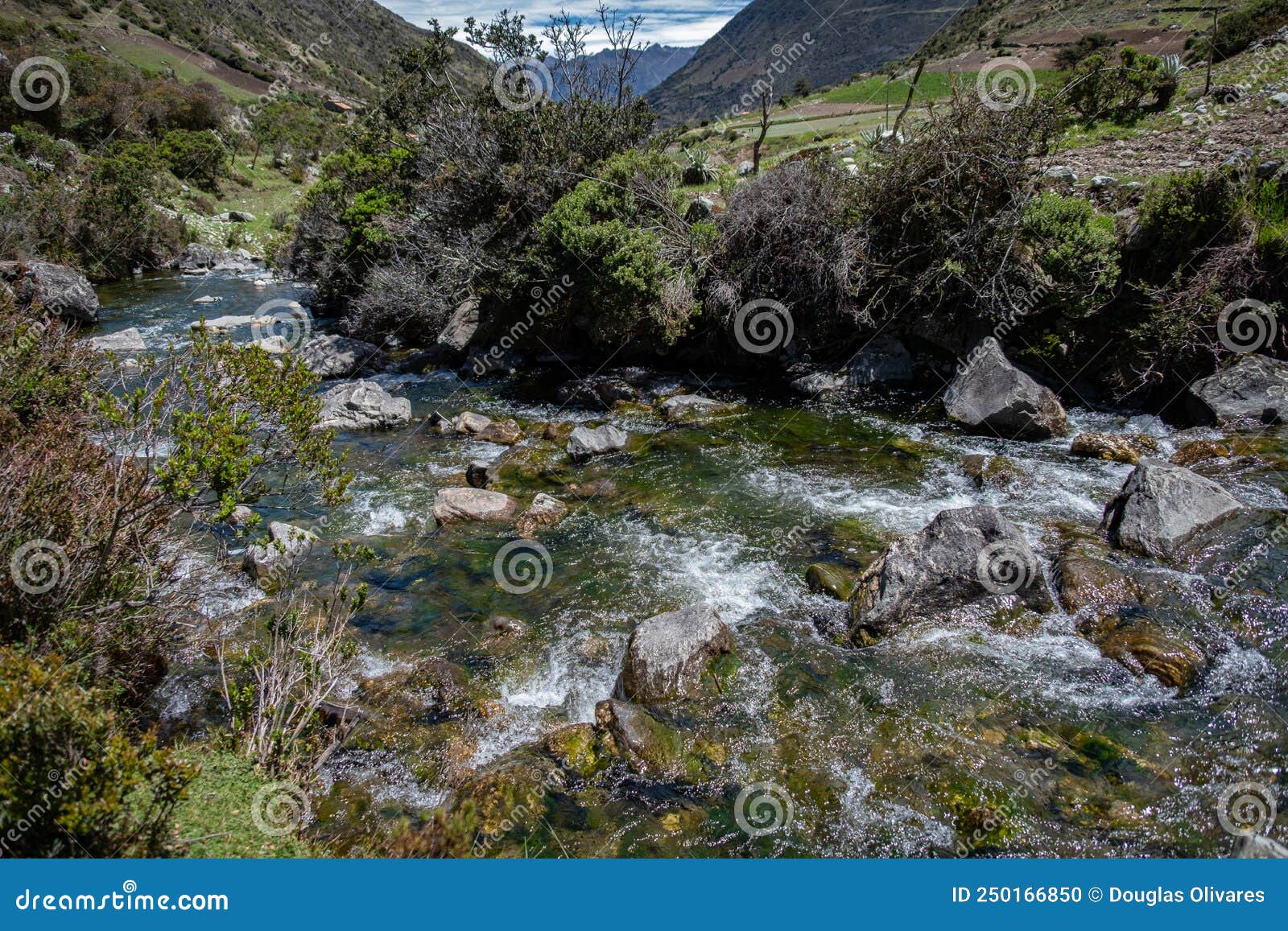 Landscape of Gavidia River. Venezuela Stock Photo - Image of river ...