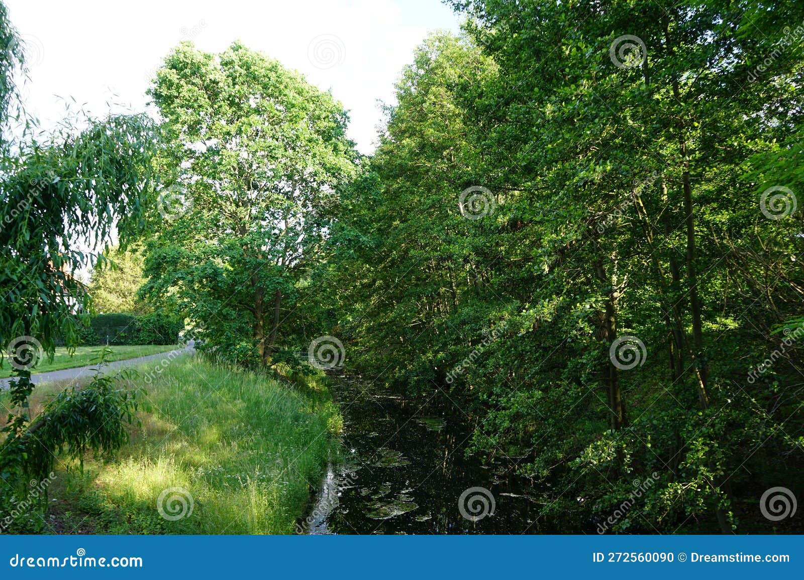 Landscape with the Wuhle River and Its Surrounding Vegetation. Berlin ...