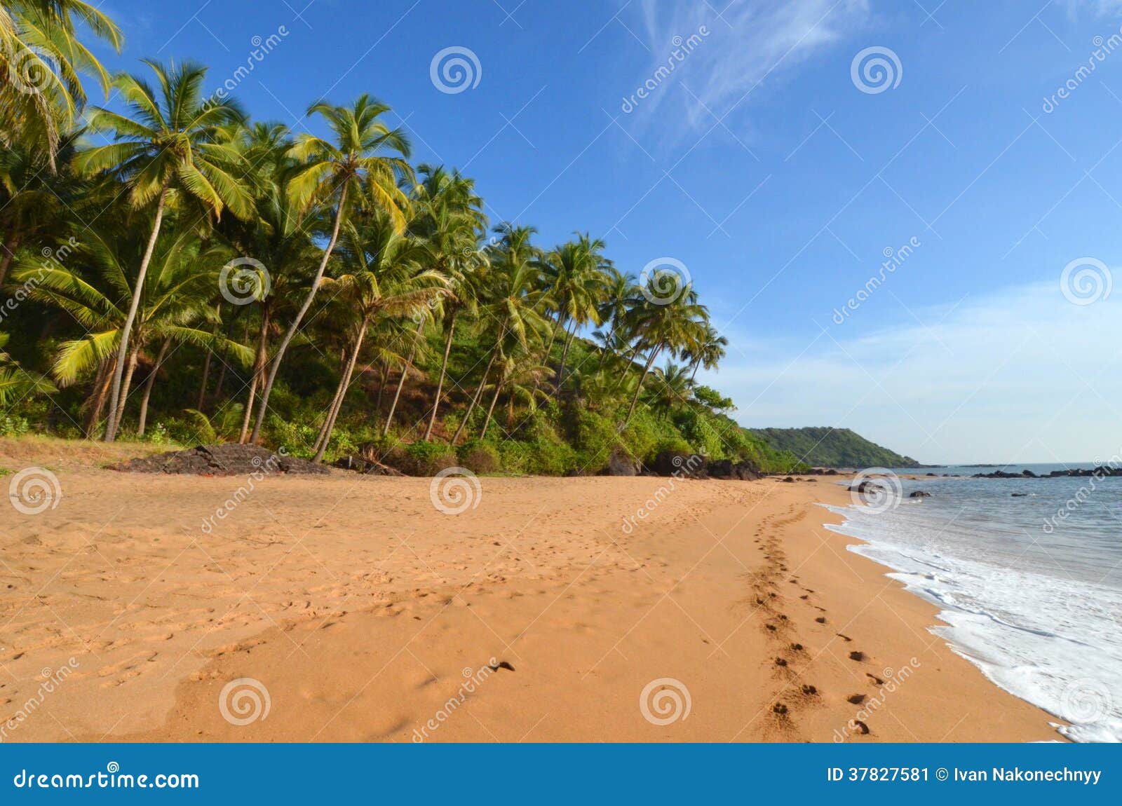 Landscape goa stock image. Image of leaf, wave, beach - 37827581