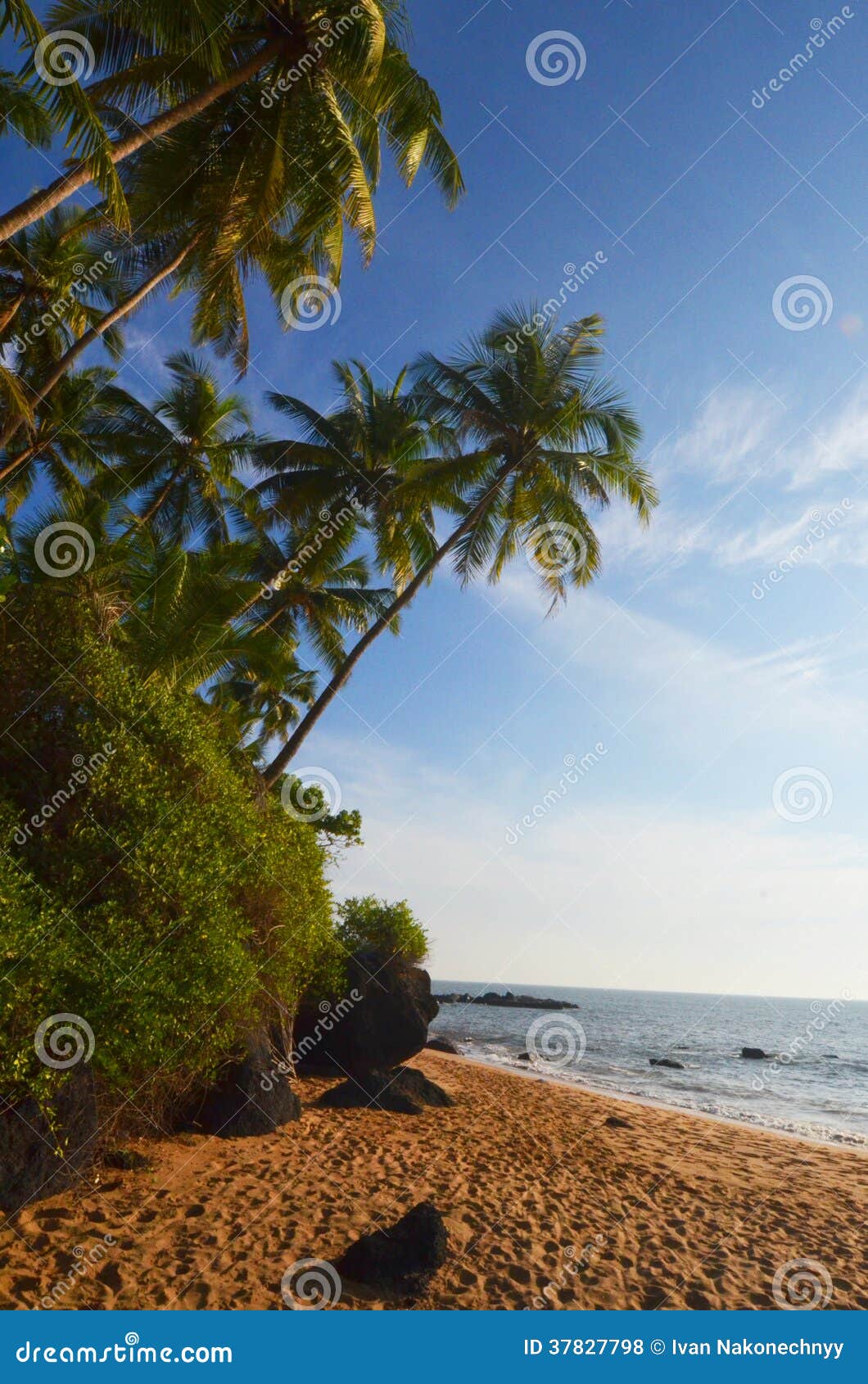 Landscape goa stock photo. Image of india, beaches, design - 37827798