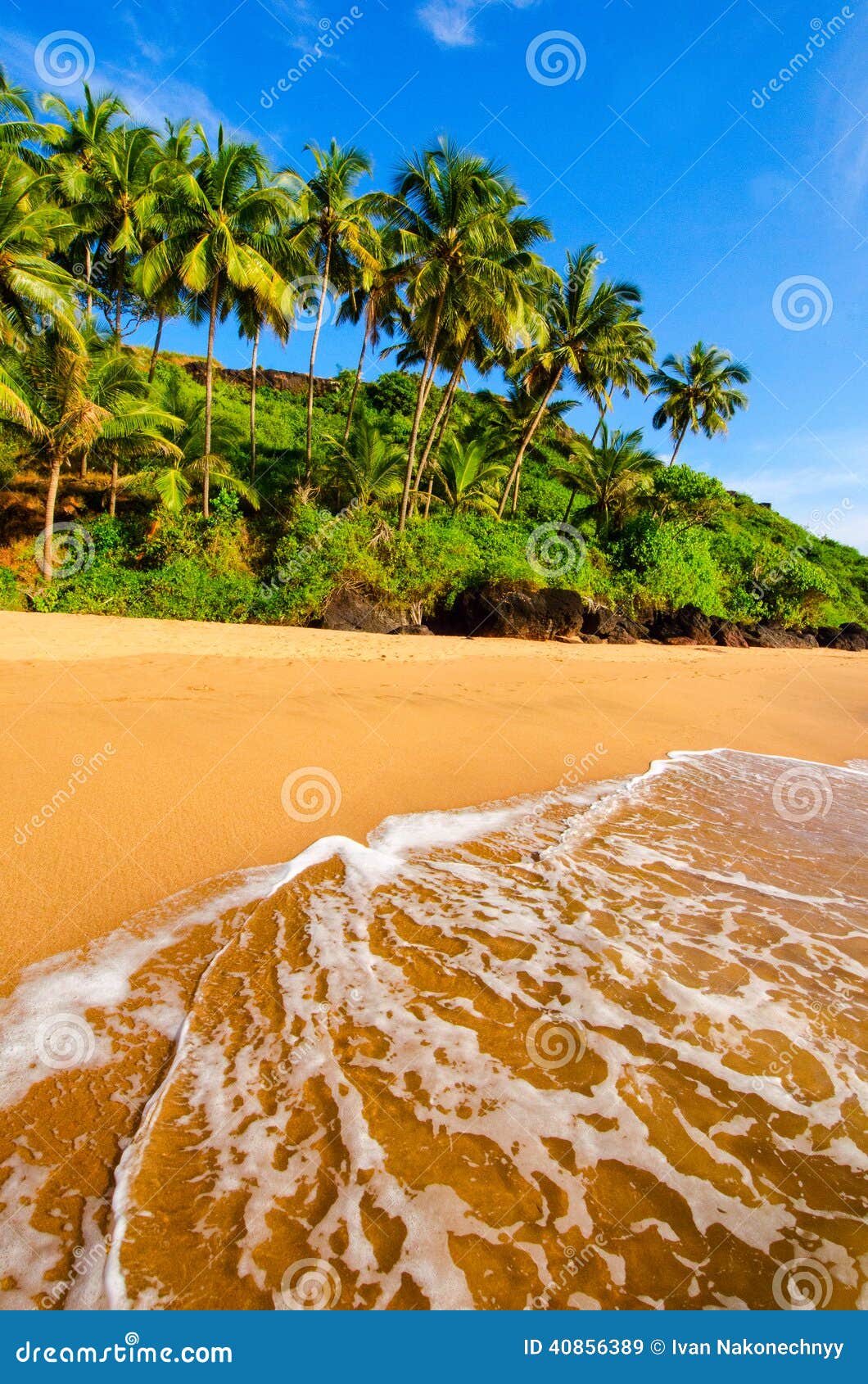 Landscape goa stock image. Image of coast, tree, relaxation - 40856389