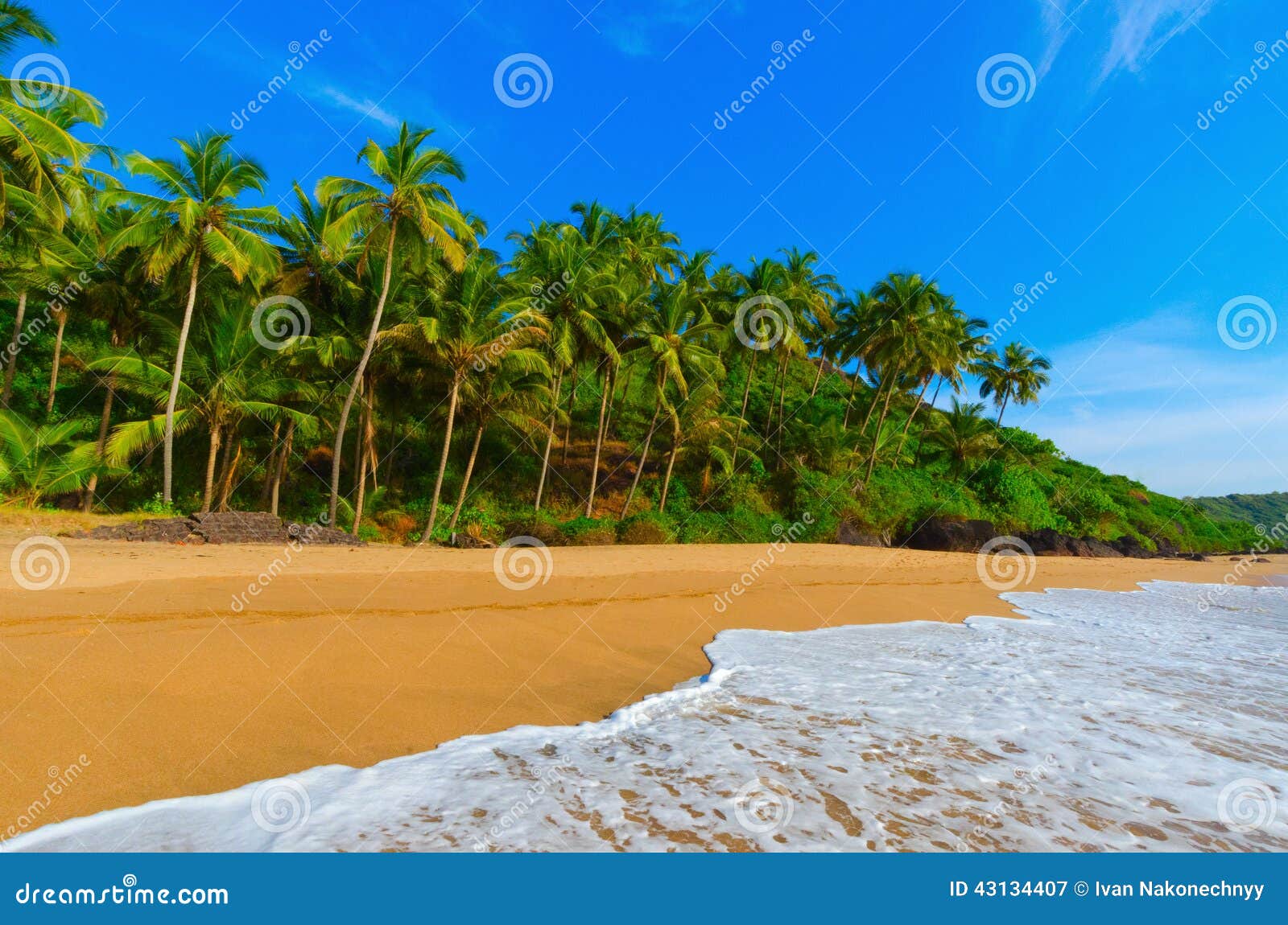 Landscape goa stock image. Image of india, tree, water - 43134407