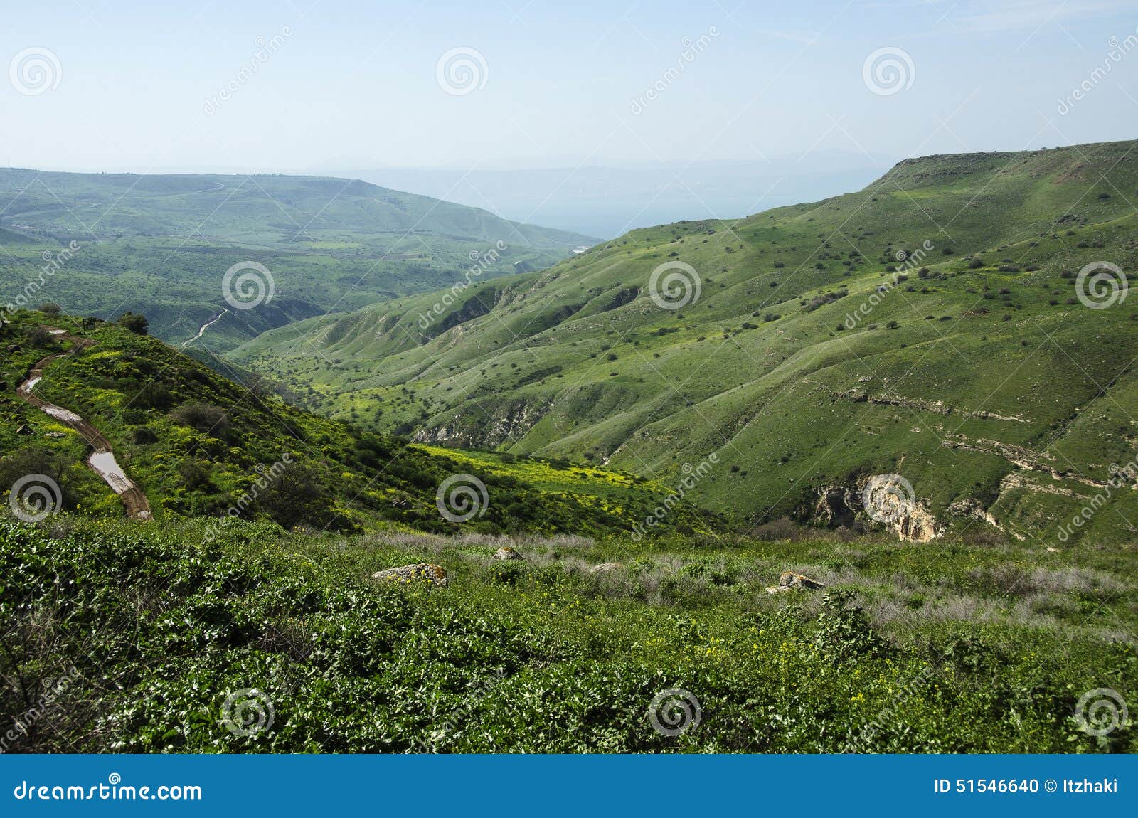 Landscape of Golan Heights stock photo. Image of meadow - 51546640