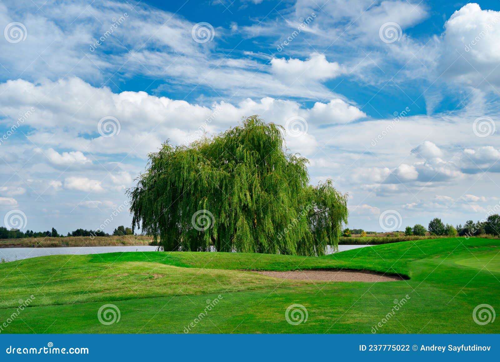 Landscape. Golf Course and Sky with Clouds. Lawn Grass. Stock Photo ...