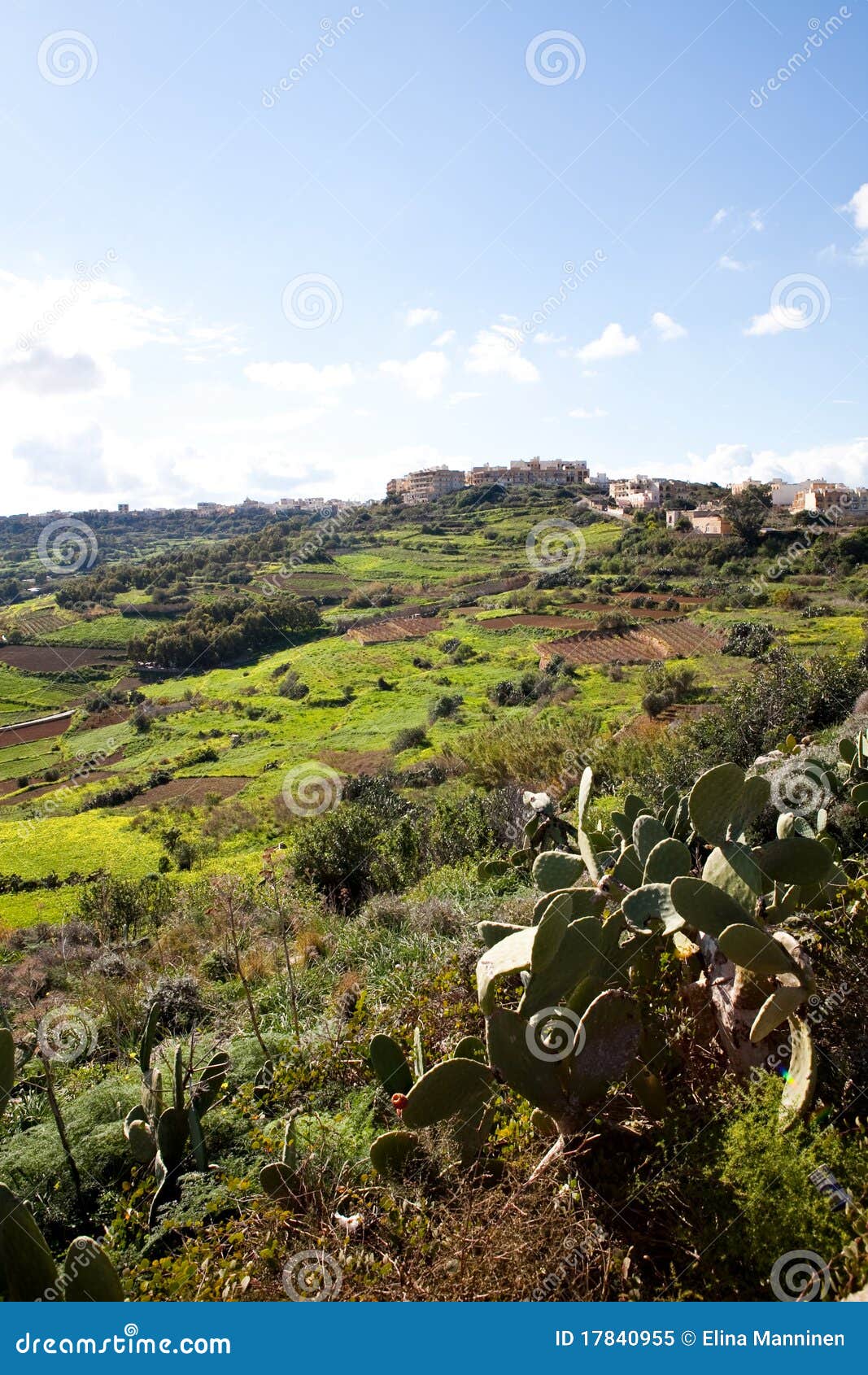 Landscape in Gozo Island, Malta Stock Image - Image of ploughed ...