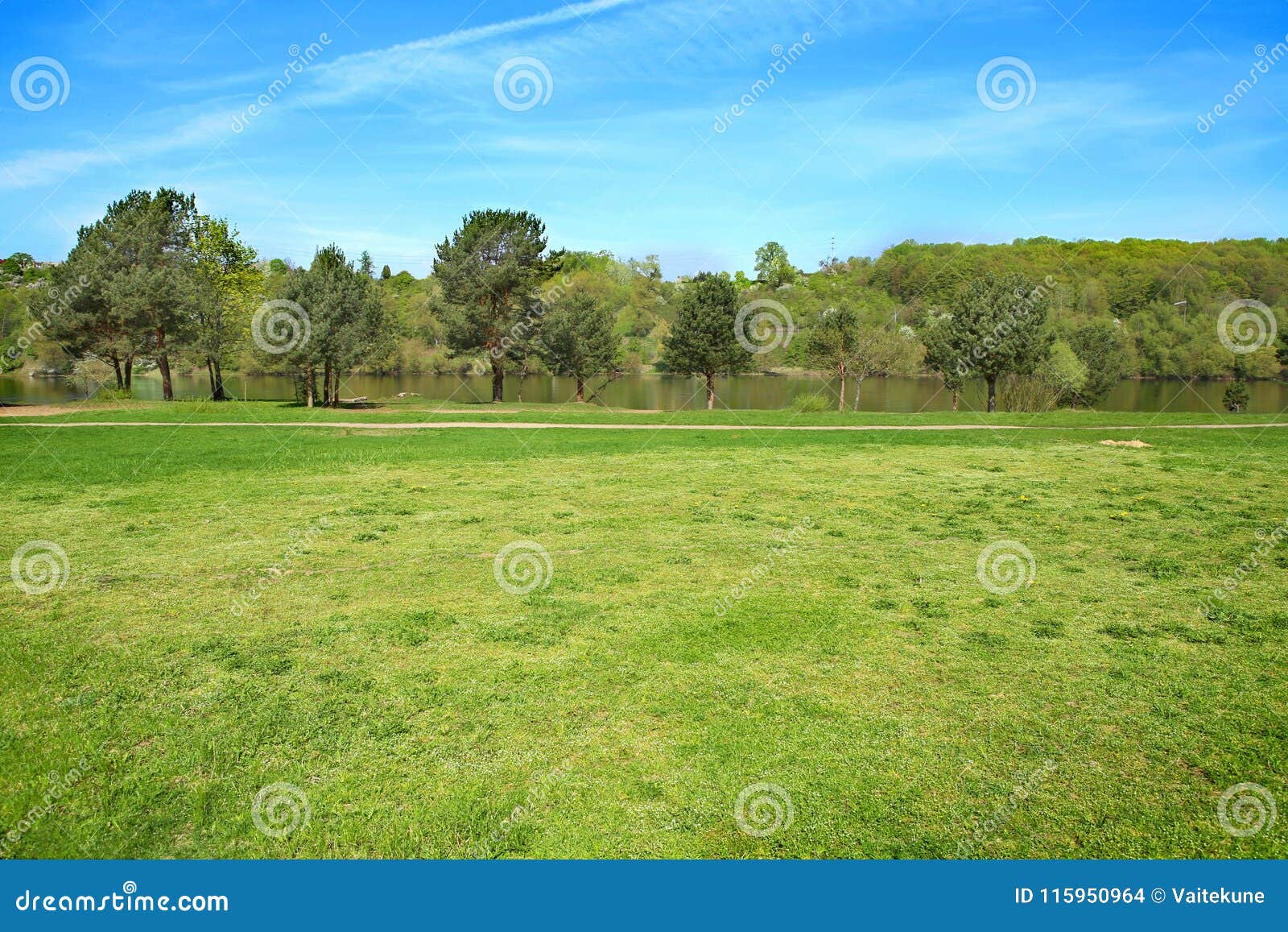 Landscape of Grass and Trees in Park Near River. Stock Photo - Image of ...