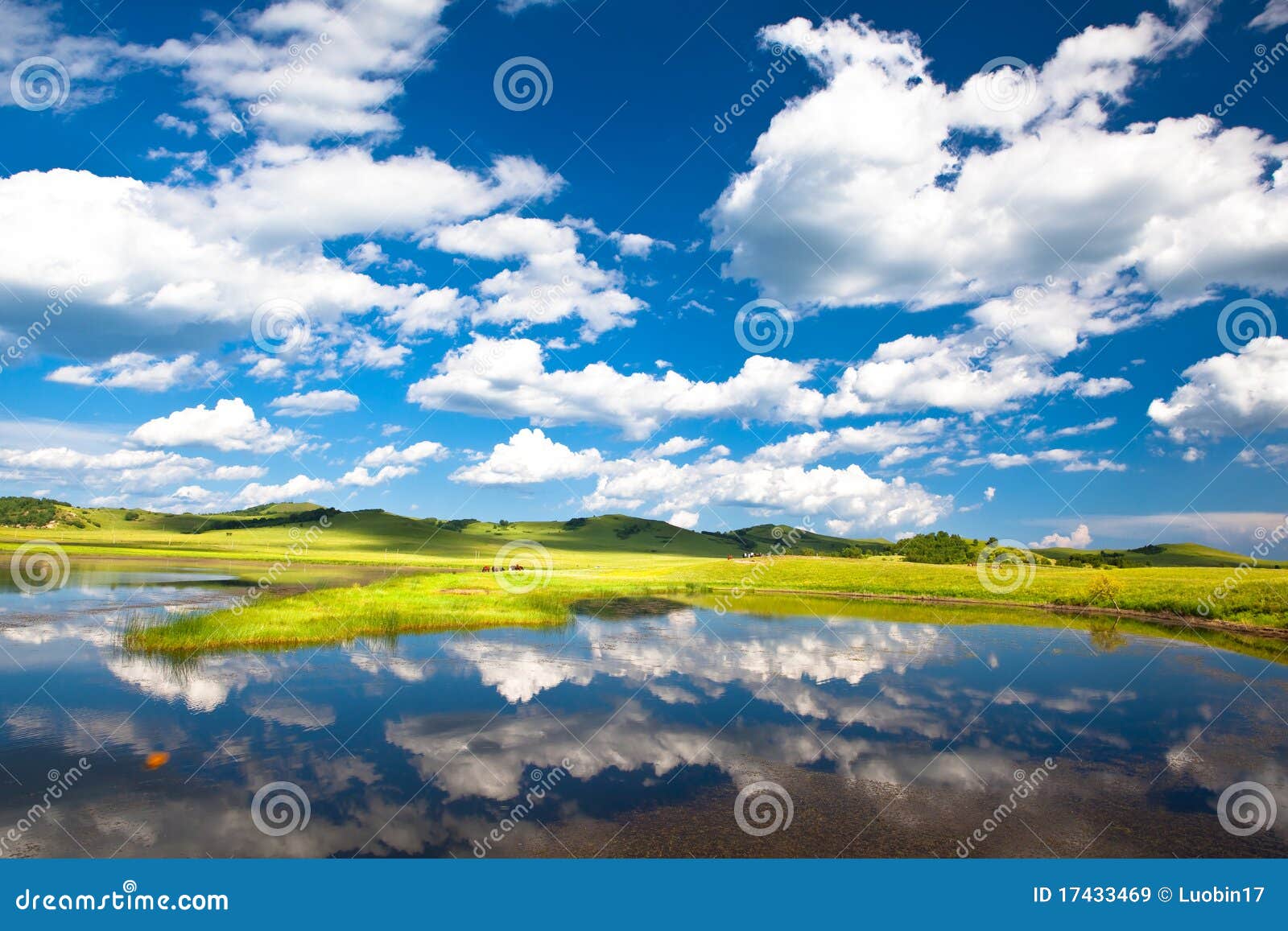 Landscape of grassland stock image. Image of grassland - 17433469