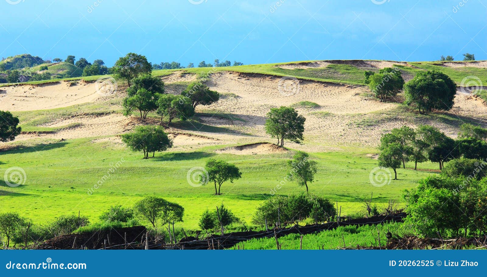 Landscape of grassland stock image. Image of fresh, empty - 20262525