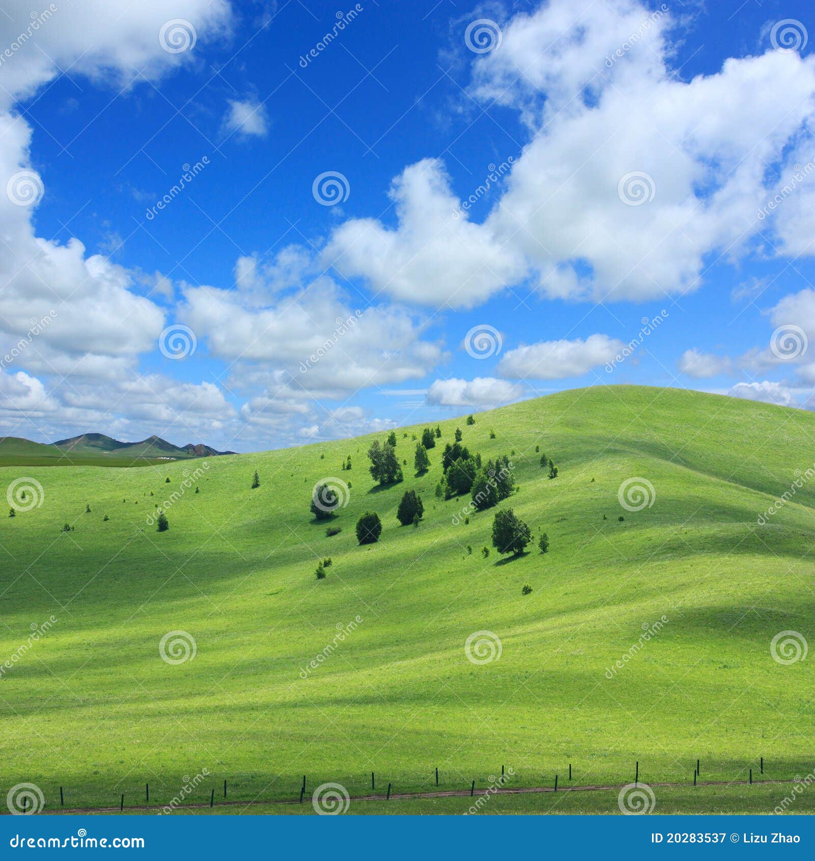 Landscape of grassland stock image. Image of road, grass - 20283537